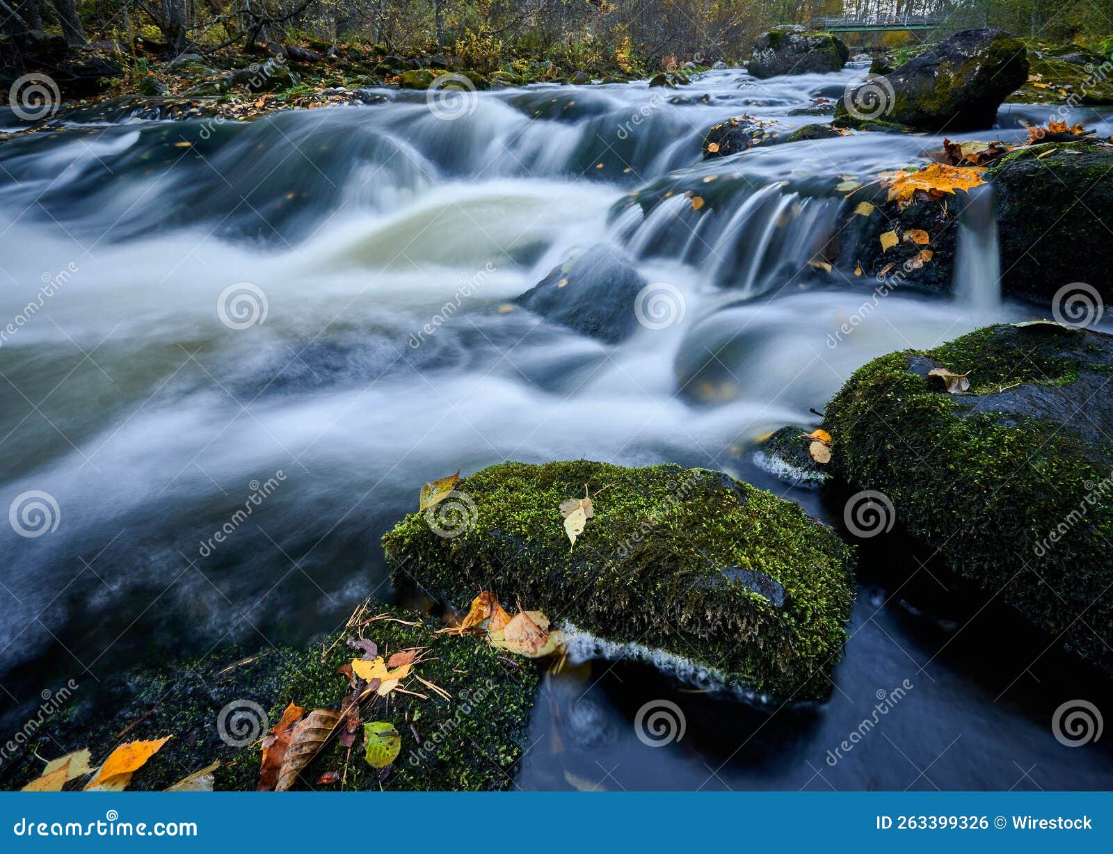 River Running through the Forest Stock Photo - Image of mossy, outside ...