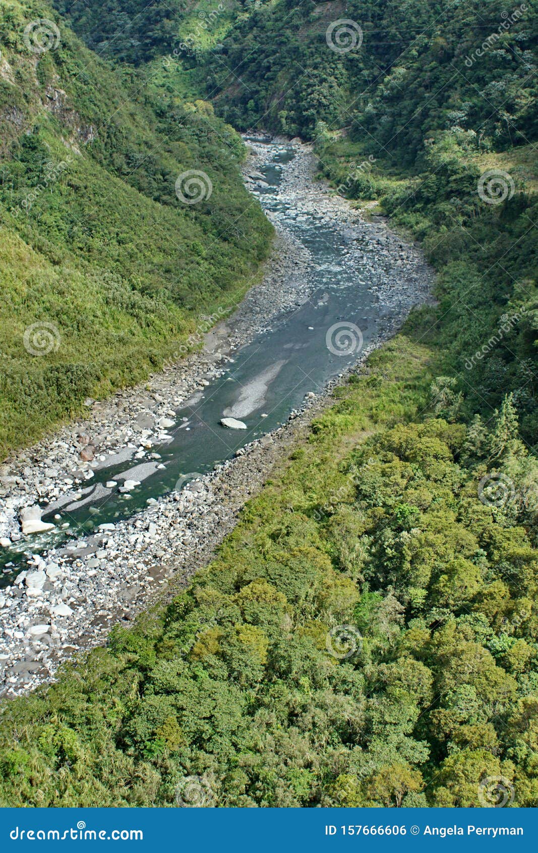 River in a gorge stock photo. Image of flowing, ravine - 157666606