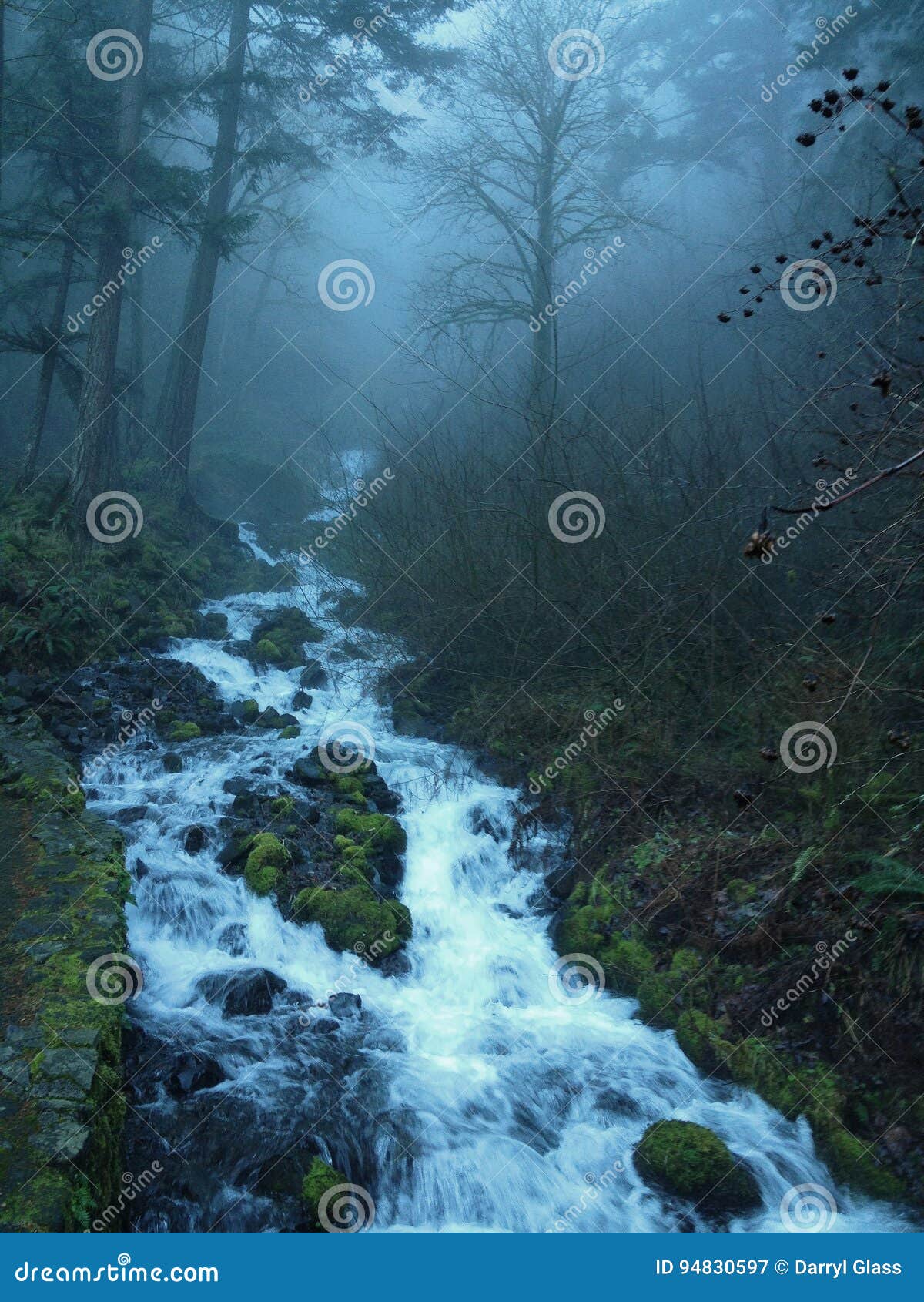 River Running through the Mist in Portland, Oregon Stock Image - Image ...