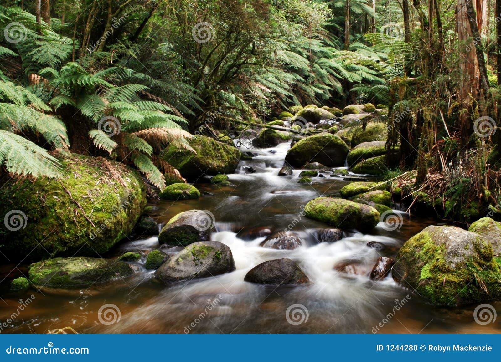 River Running Over Mossy Rocks Stock Photo - Image of australia ...