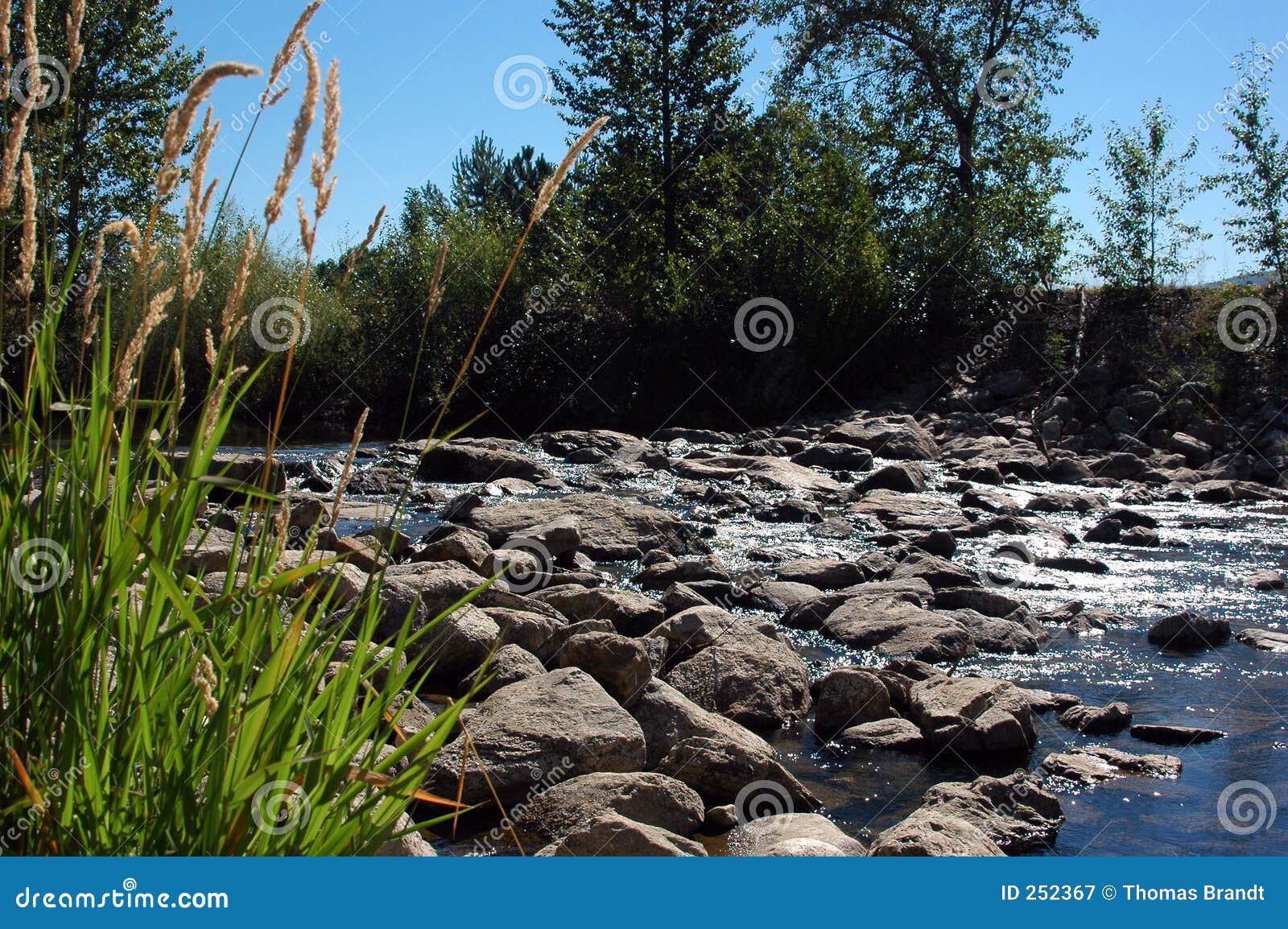 Rocks in country creek stock image. Image of boulders, sunny - 252367