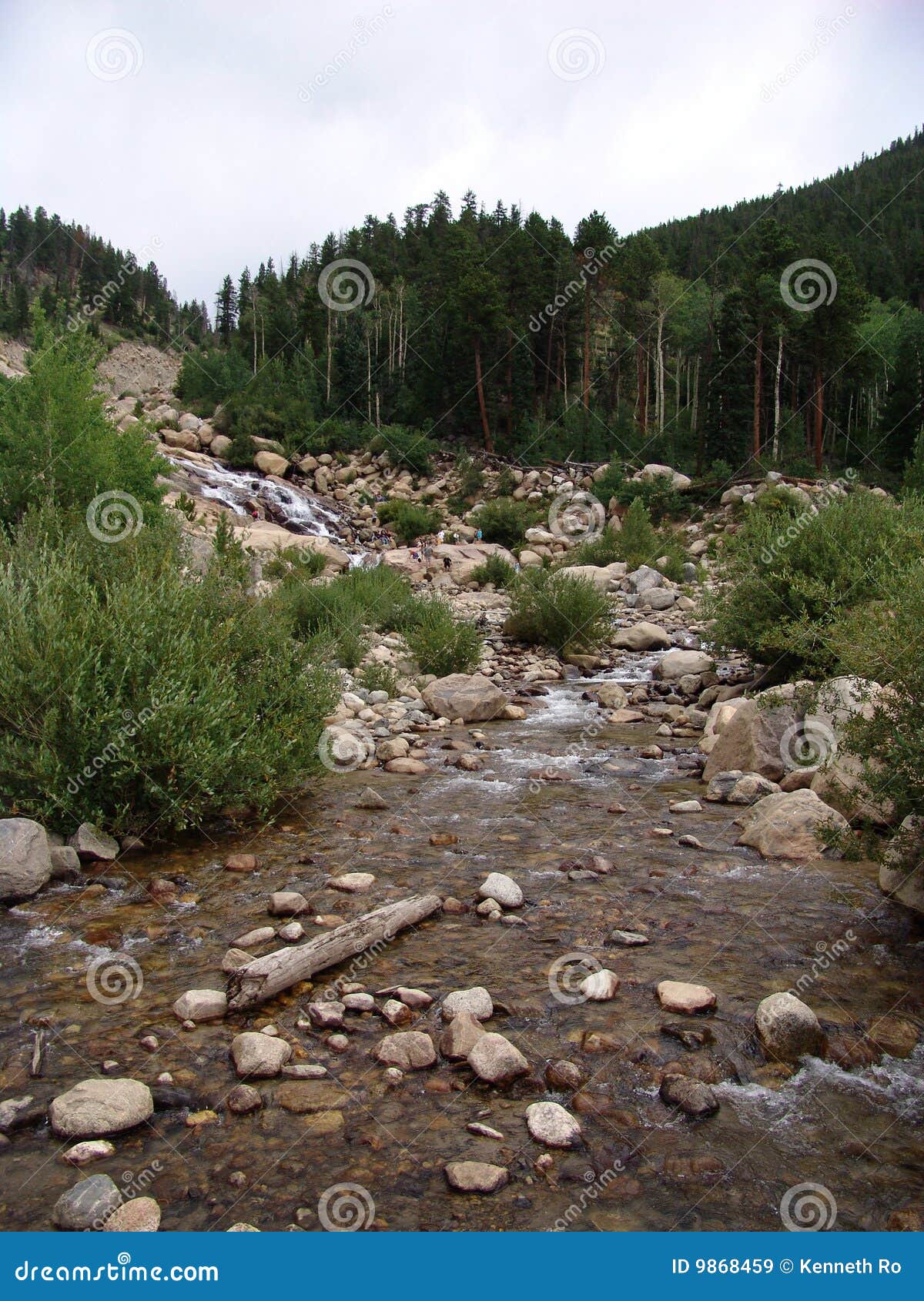 River Running through Rocky Stock Image - Image of green, waterfall ...