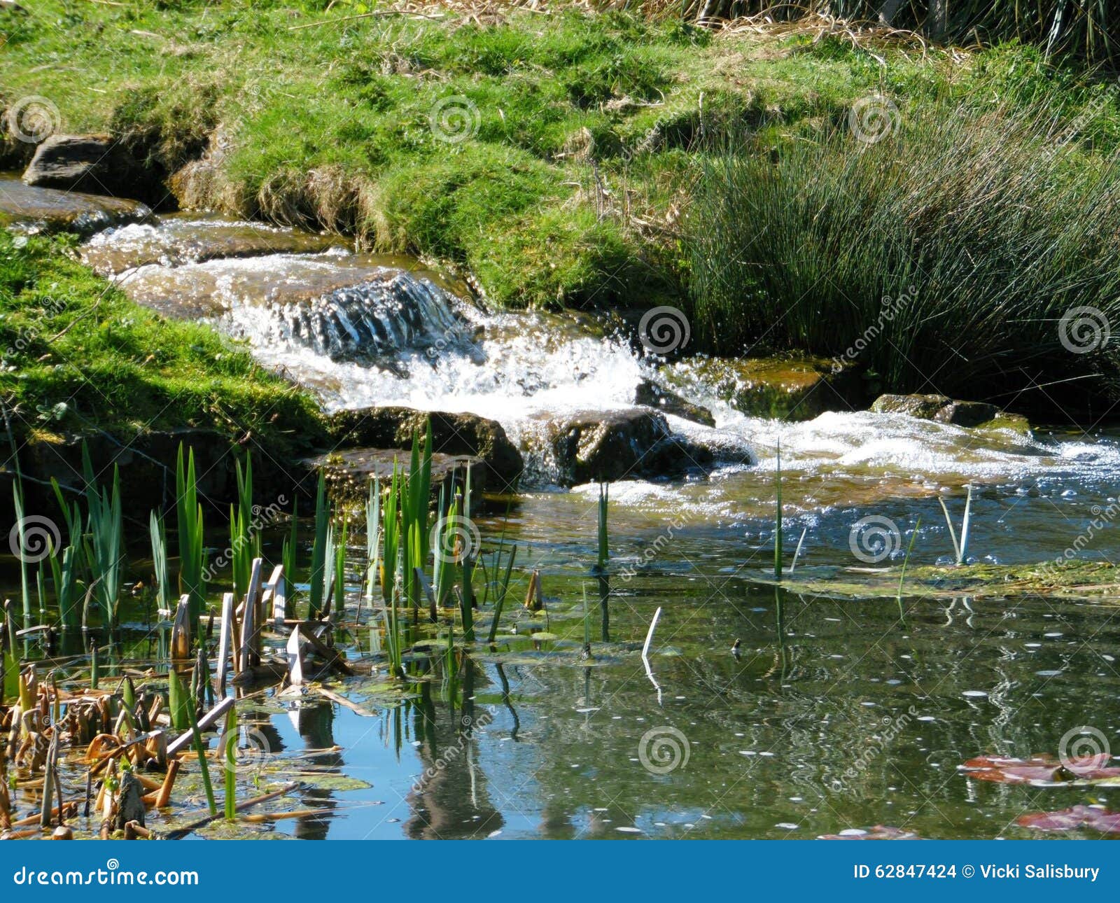 River stock photo. Image of running, river, water, summer - 62847424