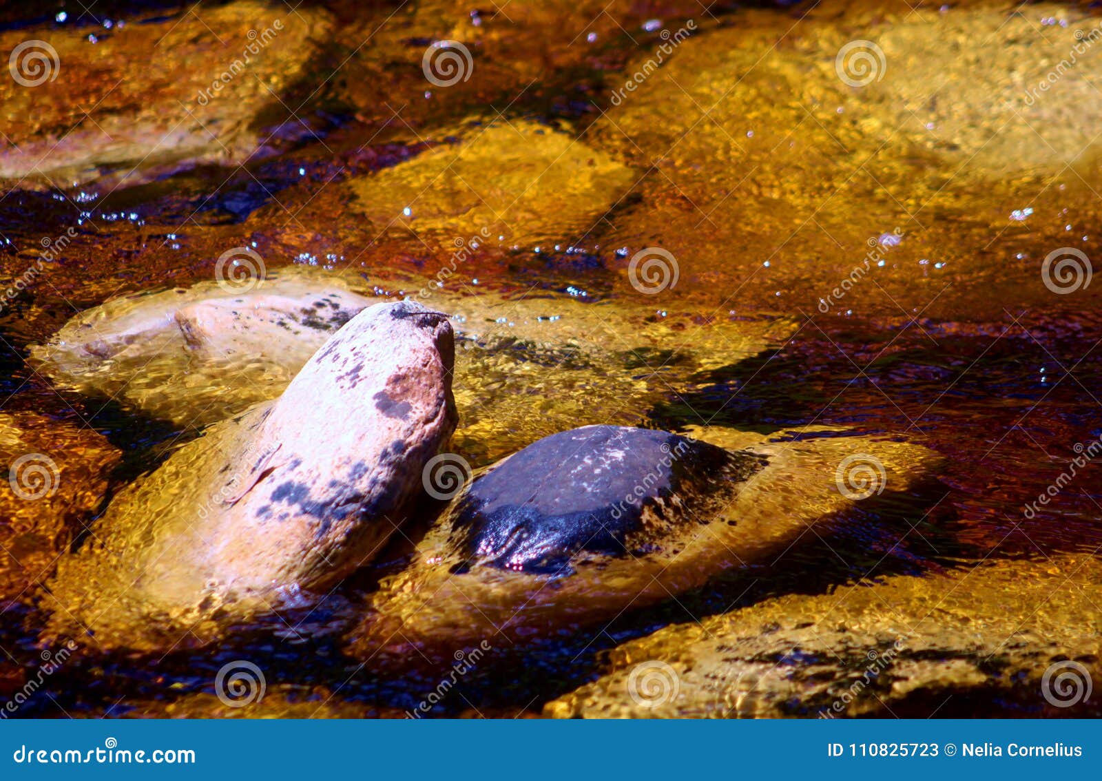 Rocks. stock image. Image of calm, river, rocks, water - 110825723