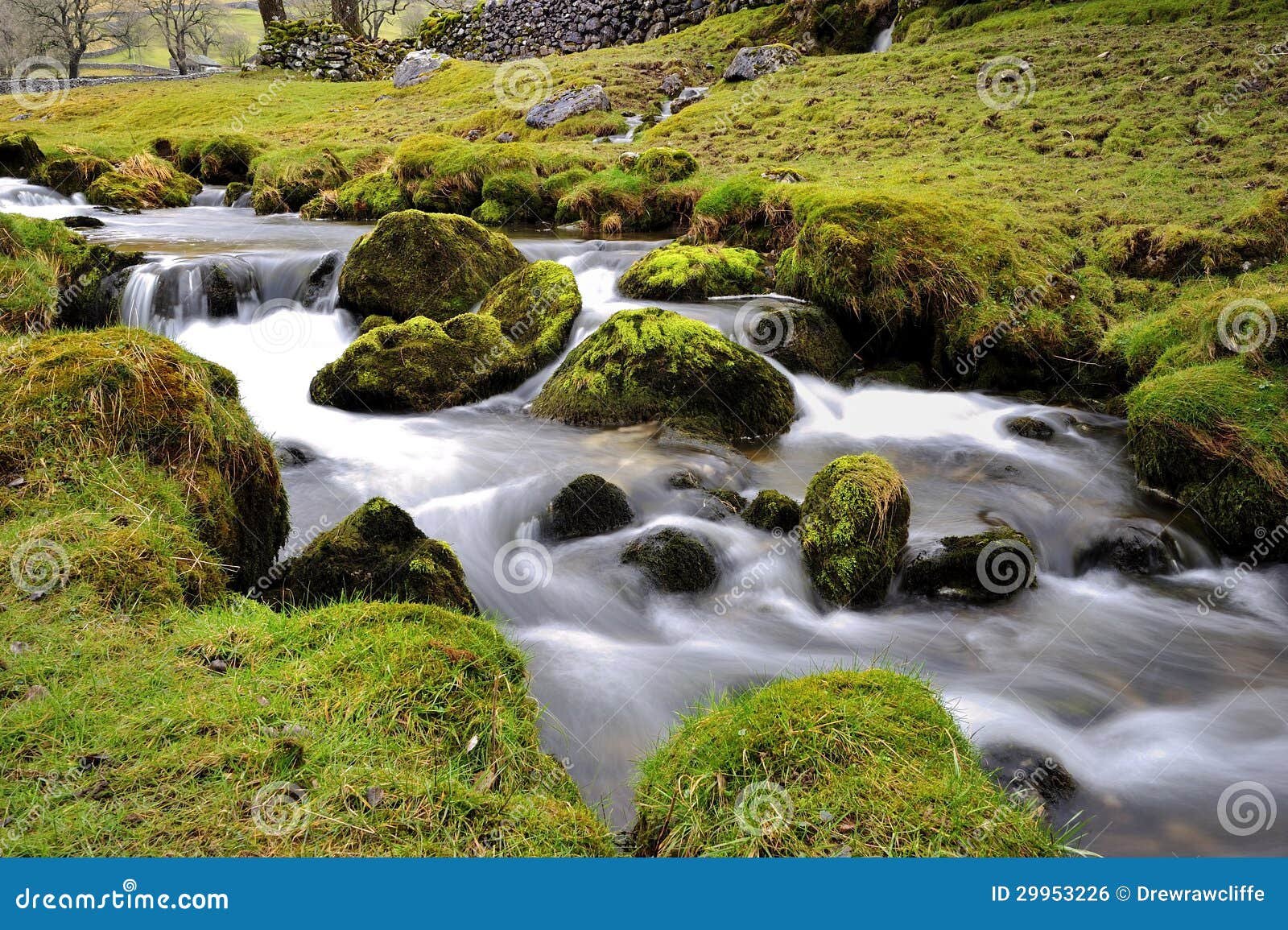 River Runs though stock photo. Image of waters, spring - 29953226
