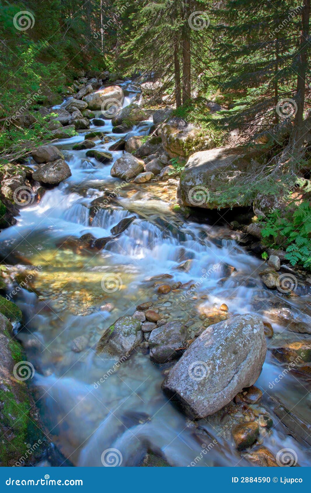 River Rushing through the Fore Stock Photo - Image of foliage, creek ...