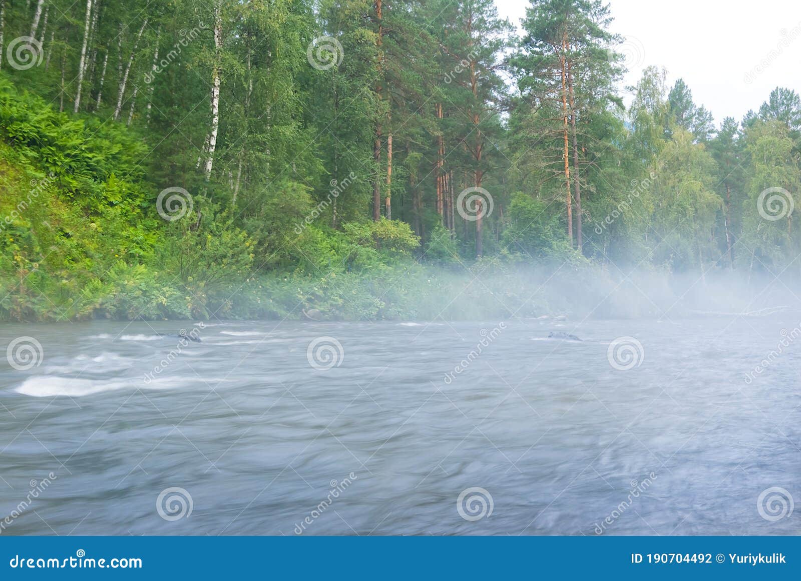 River Rushing through a Forest Stock Photo - Image of forest, glade ...
