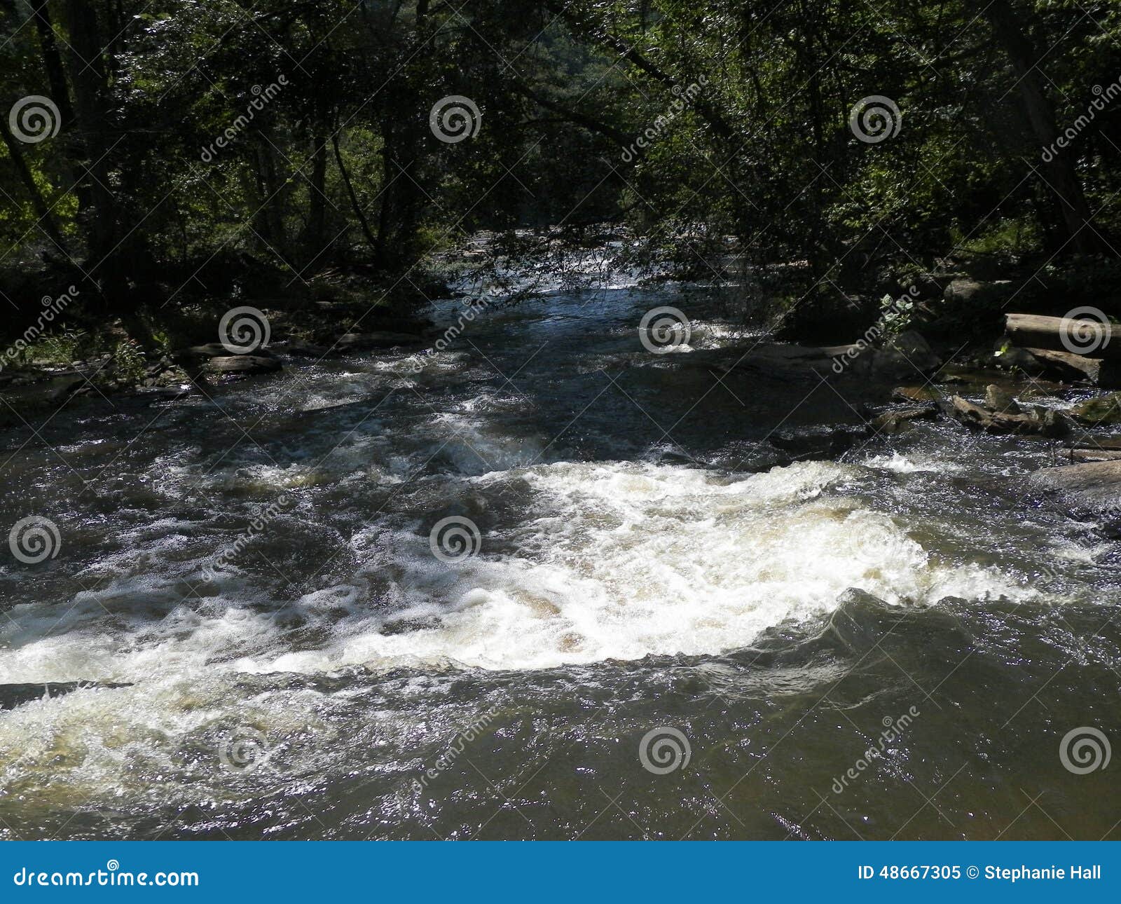 River rushing stock image. Image of georgia, forest, serene - 48667305