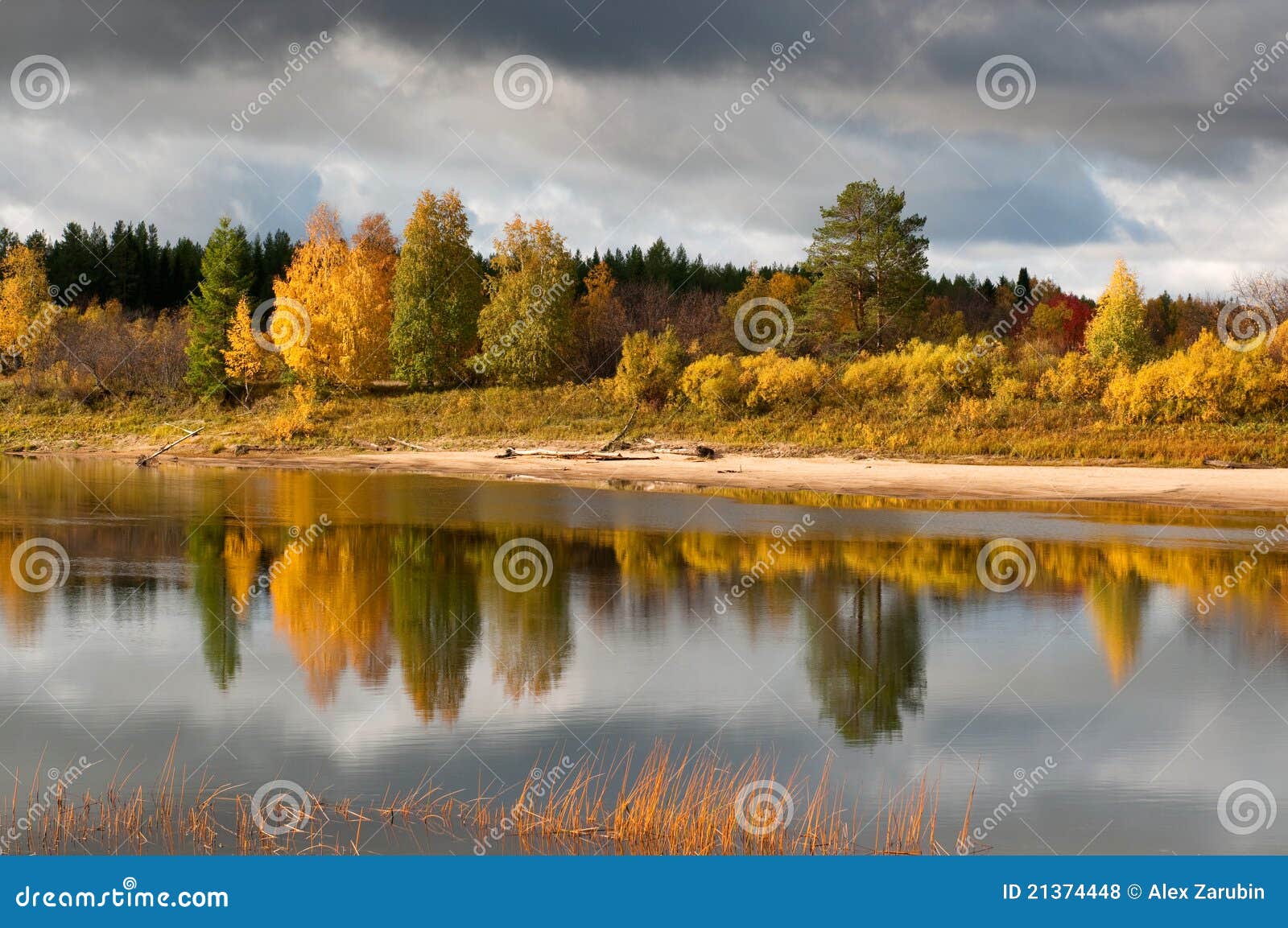 River in russian taiga stock photo. Image of outdoor - 21374448