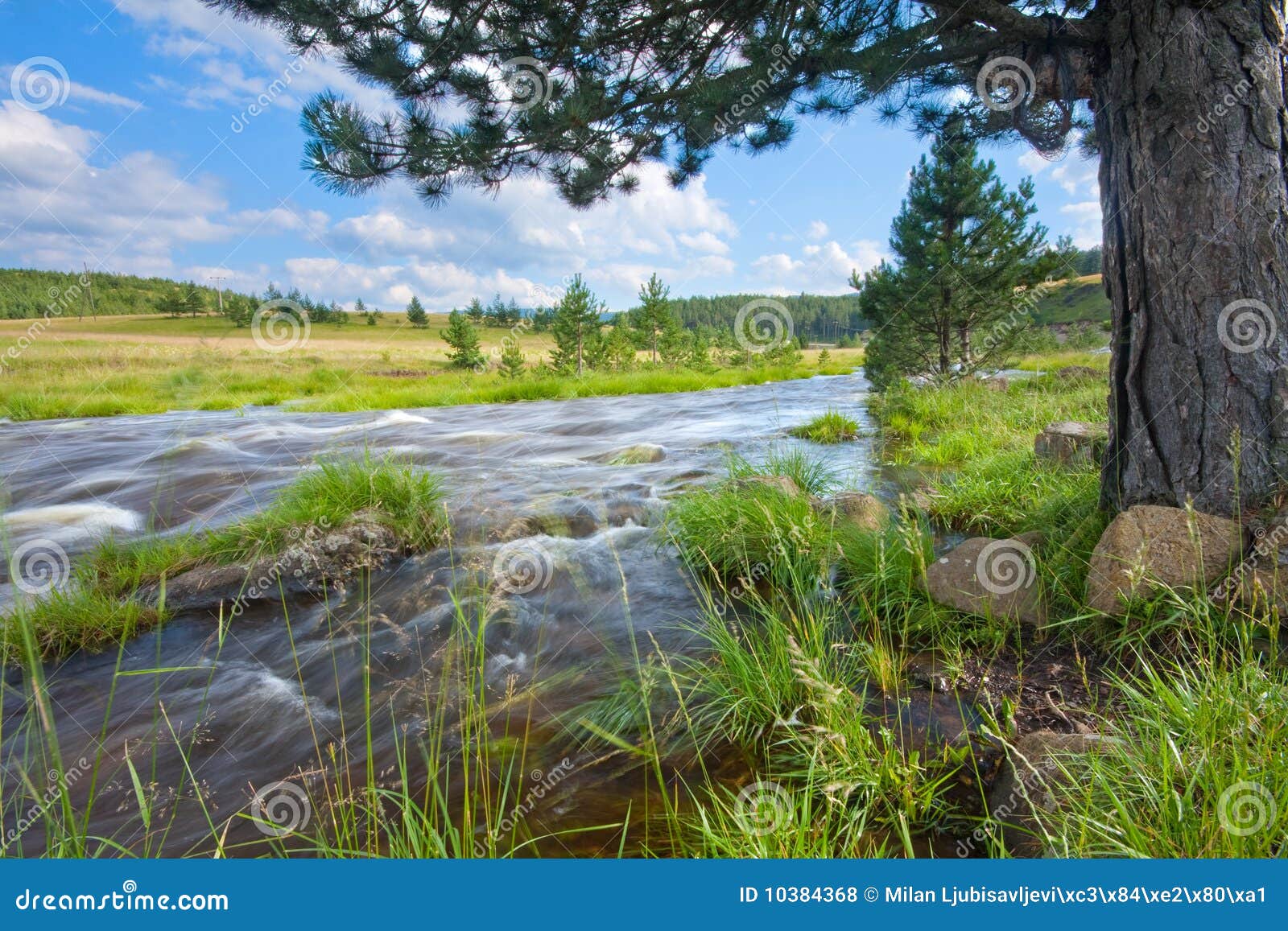 River Rzav 1 stock photo. Image of summer, mountain, grass - 10384368