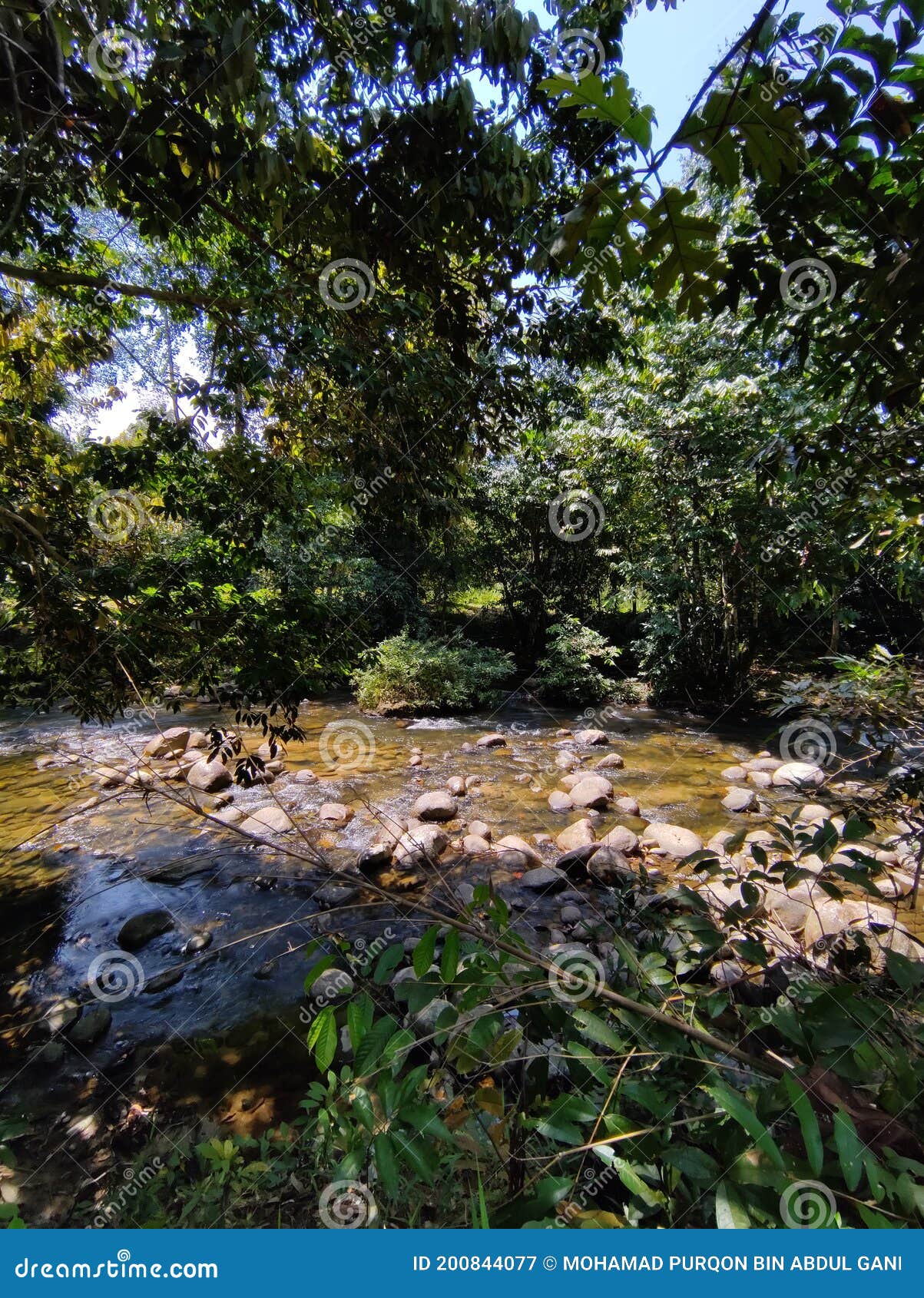 River at Sabak Bernam stock image. Image of nice, bernam - 200844077