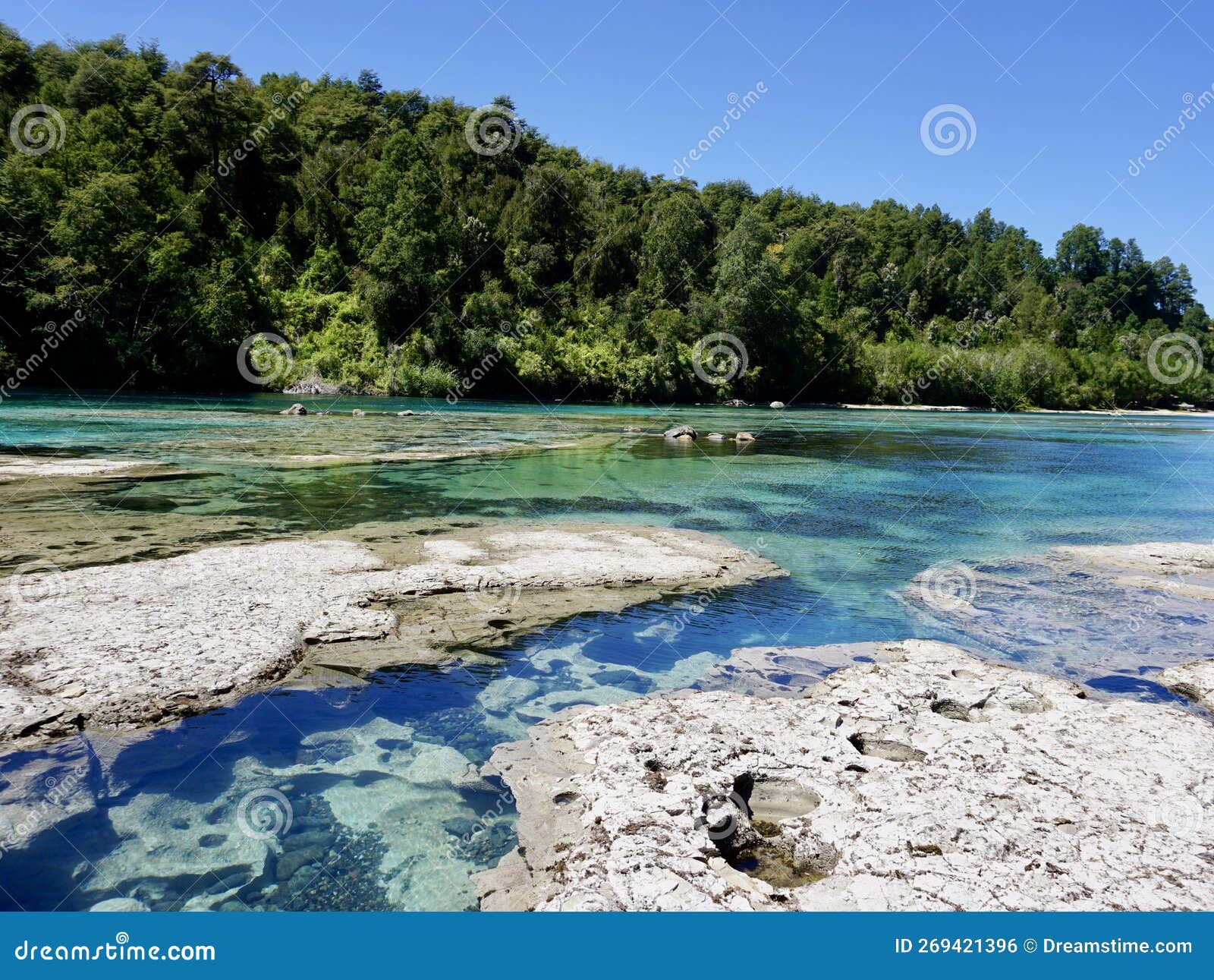 River San Pedro stock photo. Image of view, pedro, river - 269421396