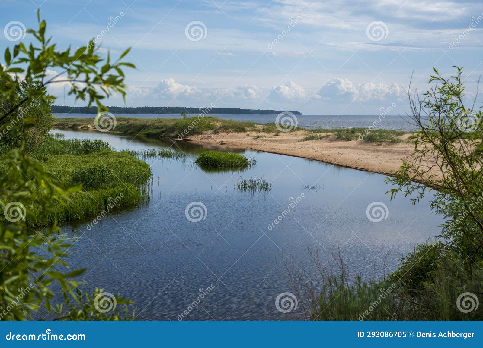 River on a Sandy Beach with Greenery Stock Image - Image of dream, rest ...