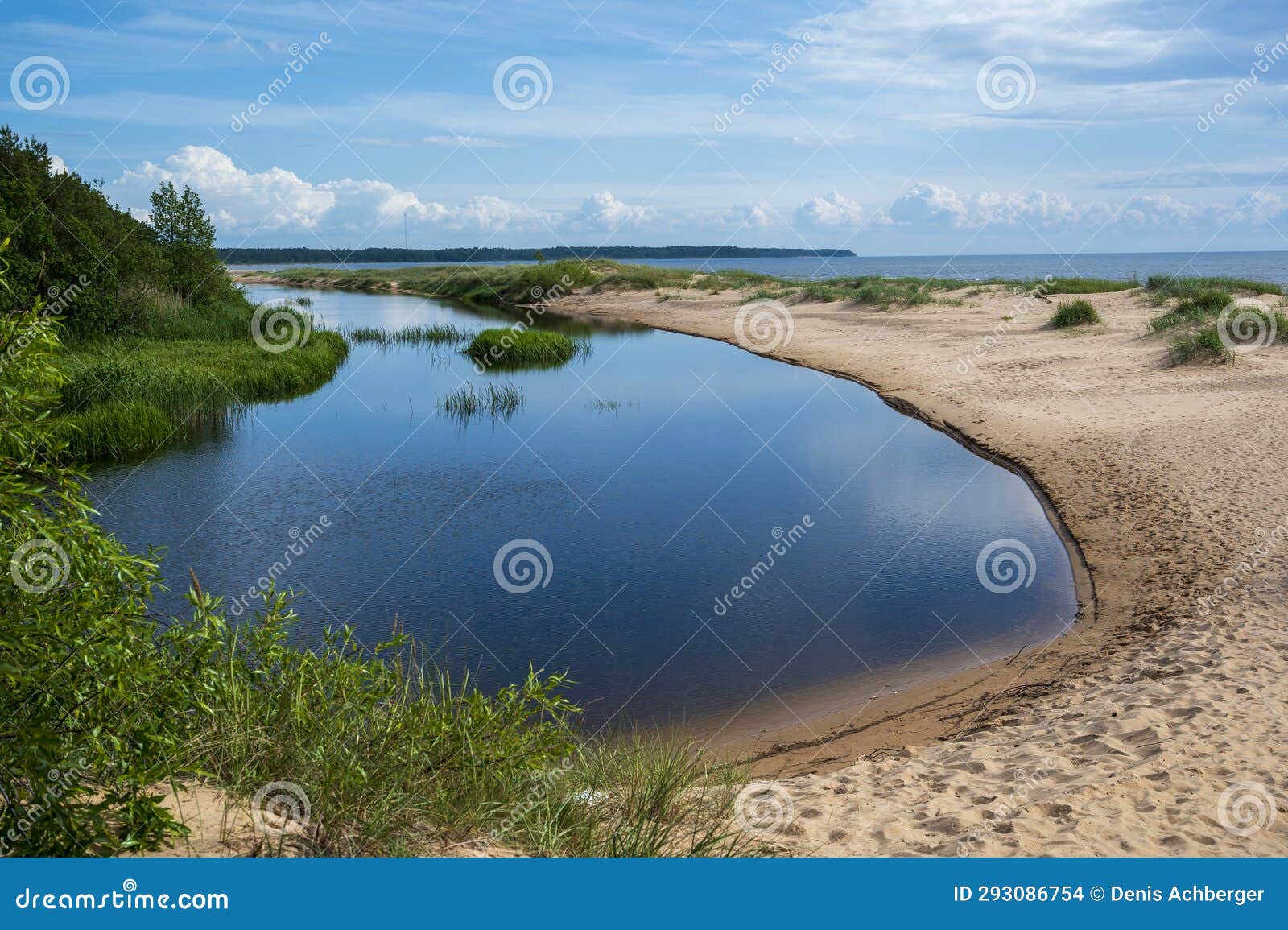 River on a Sandy Beach with Greenery Stock Photo - Image of adventure ...