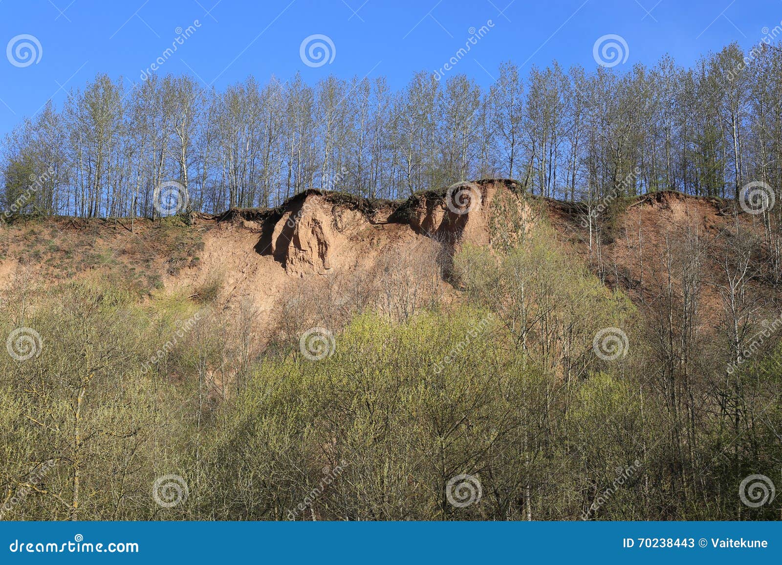 River scarp stock image. Image of landscape, birch, mountain - 70238443