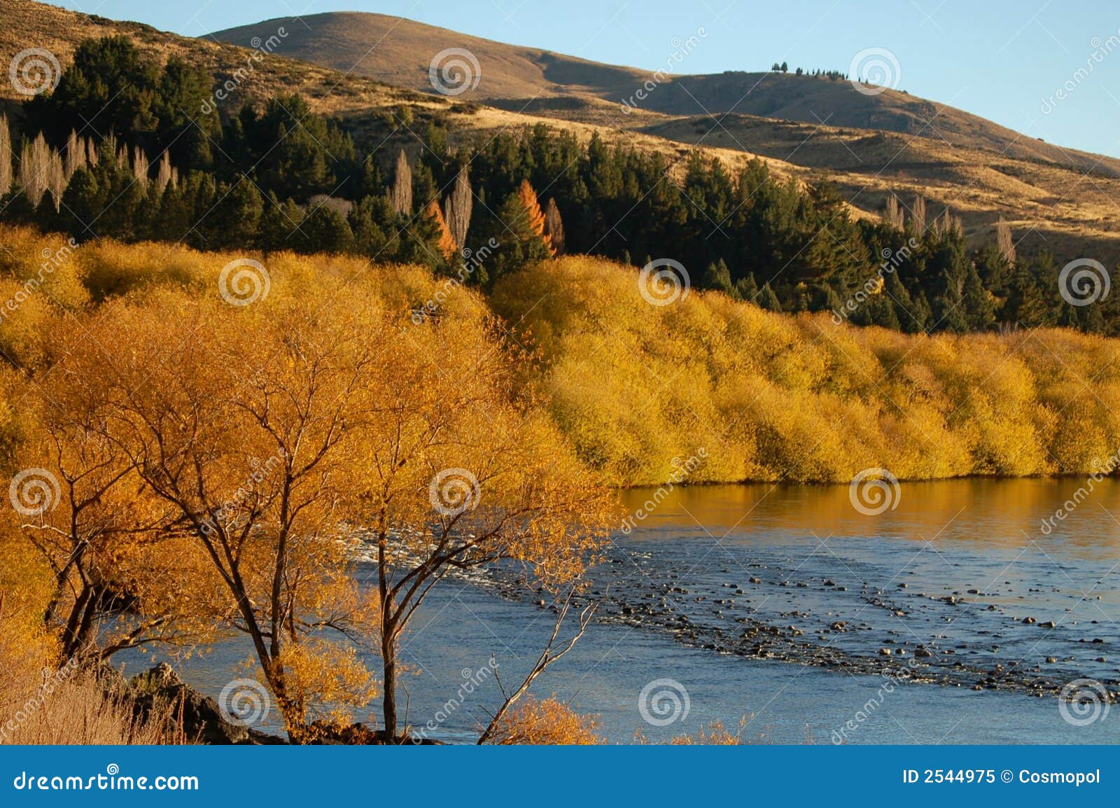 River Scene Picture. Image: 2544975