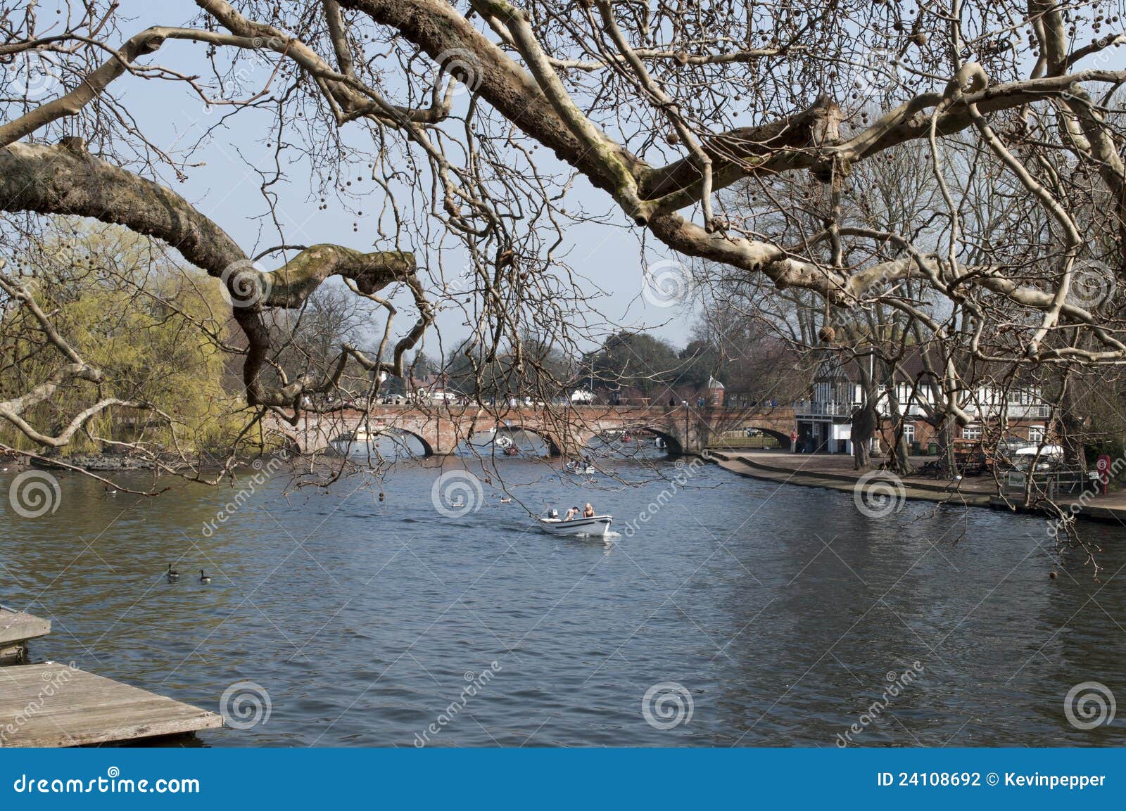 River Scene Hanging Trees stock photo. Image of ripple - 24108692