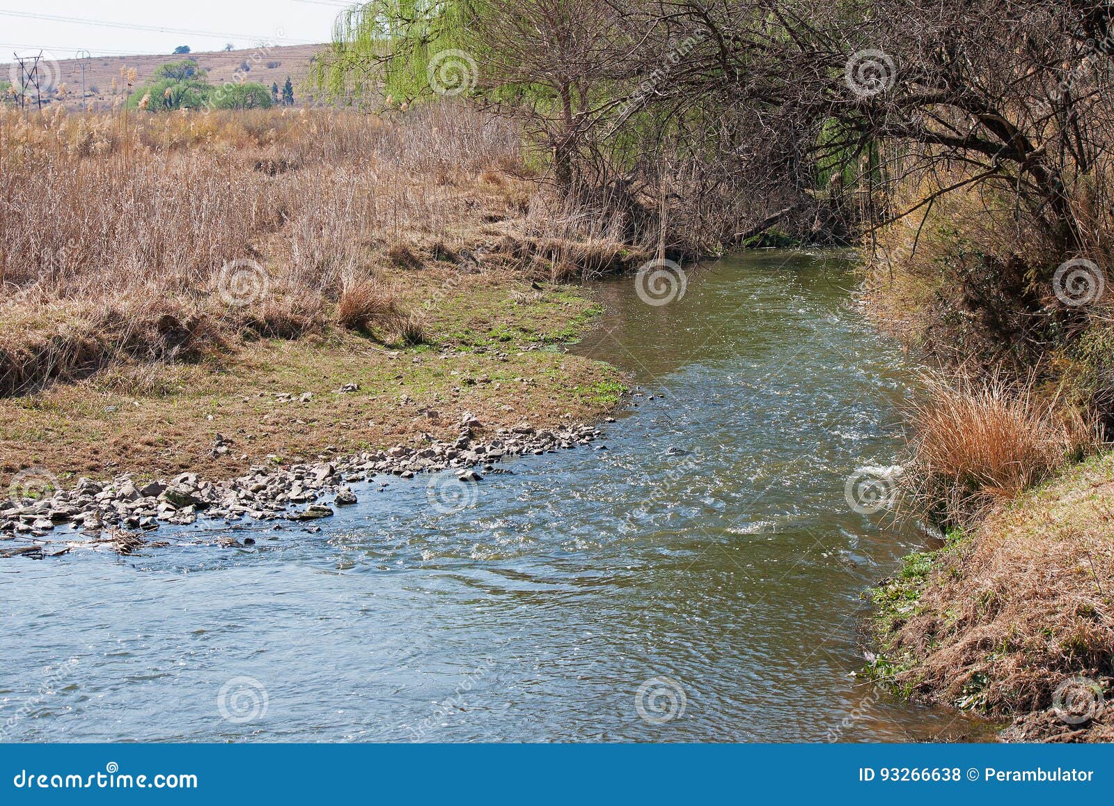 RIVER SCENE stock photo. Image of banks, flowing, river - 93266638