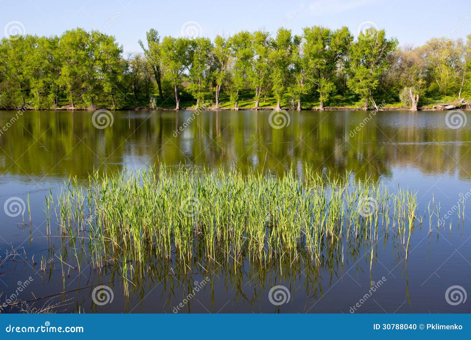River scene in summer time stock photo. Image of light - 30788040