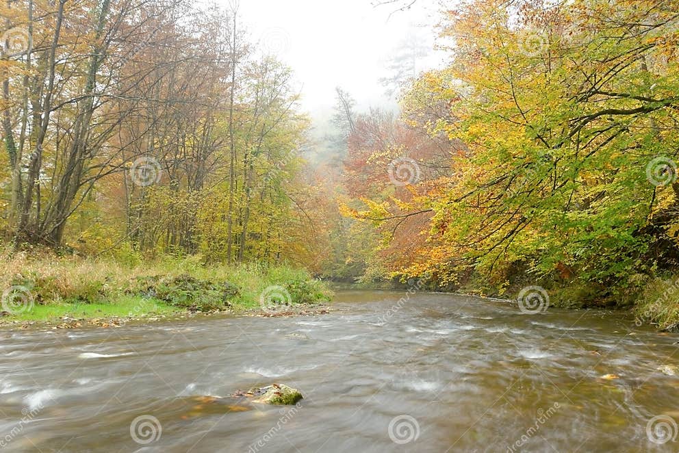 River Schwechat stock image. Image of fall, flowing, rock - 79044927