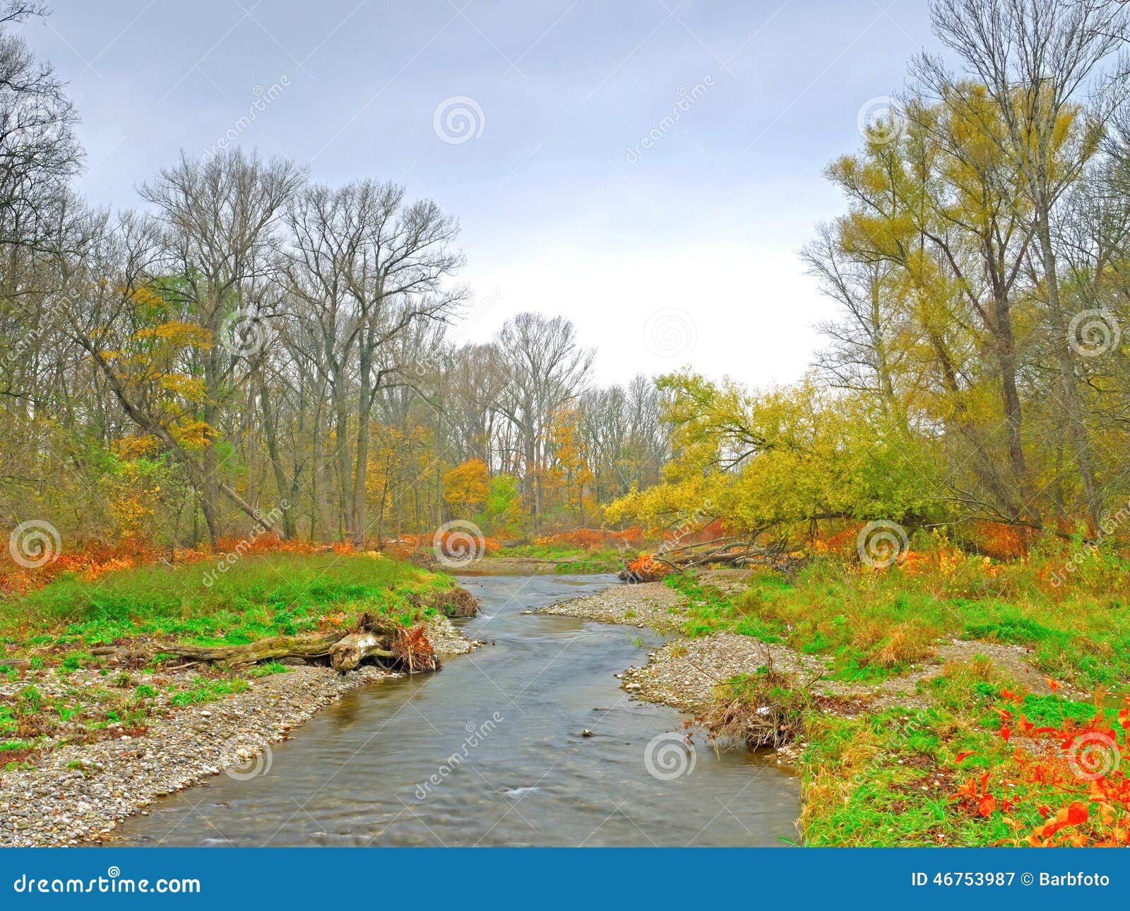 River Schwechat stock image. Image of fall, tree, nature - 46753987