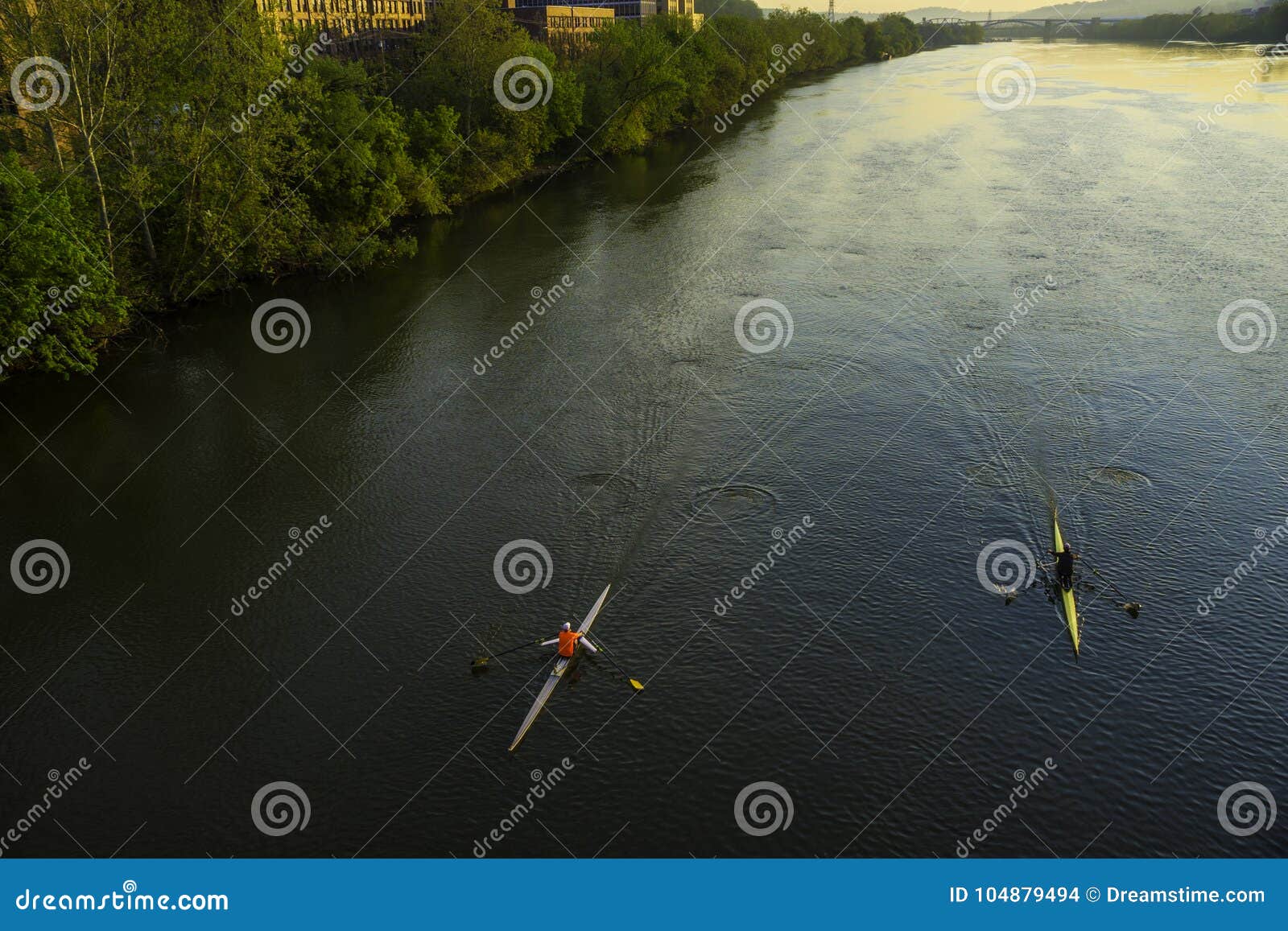 River Sculling stock photo. Image of early, sculling - 104879494