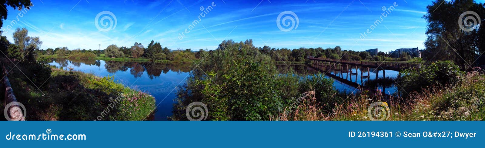 River Shannon Limerick Ireland Stock Image - Image of birds, beautiful ...