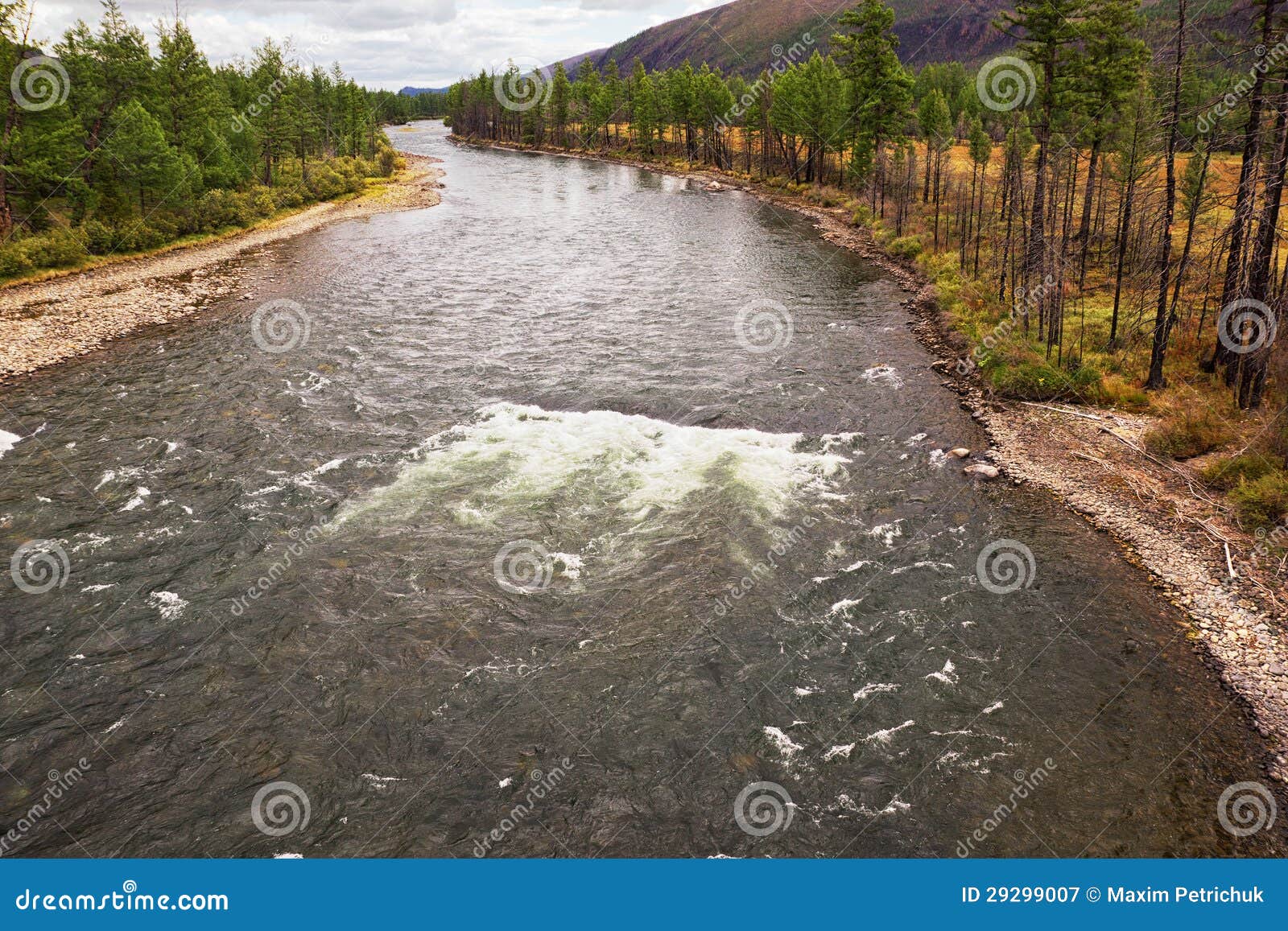 River Shishged in Mongolia. Stock Image - Image of outdoors, trees ...