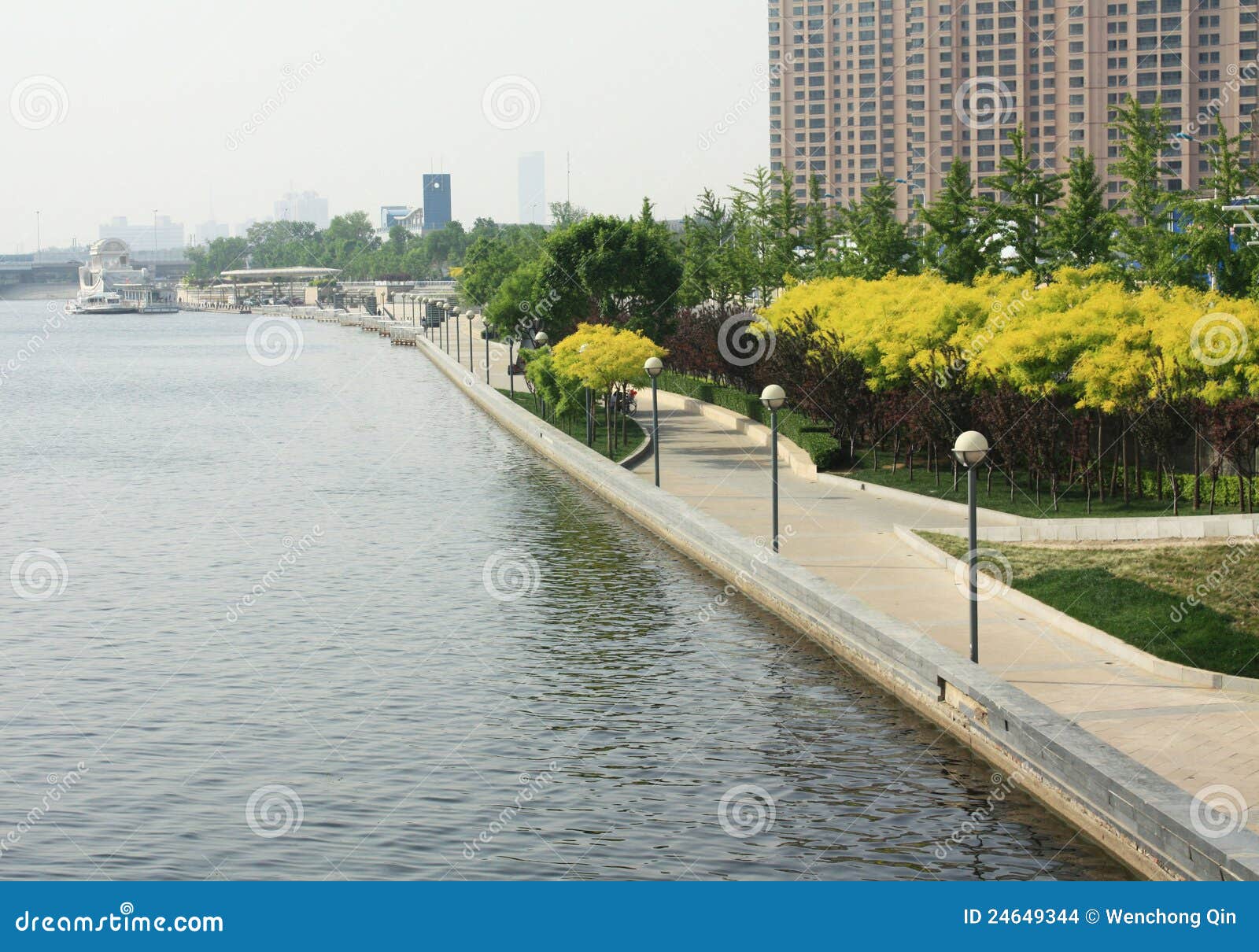 River Shore stock photo. Image of river, shore, trees - 24649344