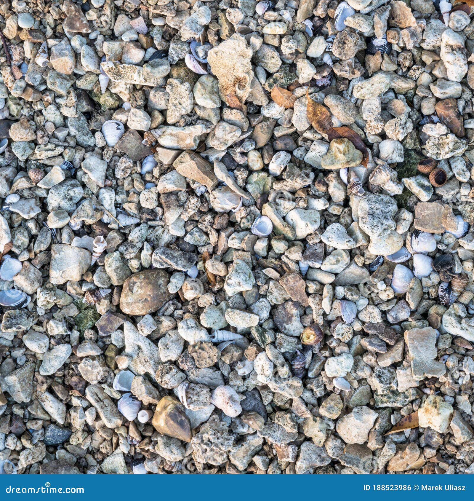 River Shore Background and Texture Stock Photo - Image of leaf ...