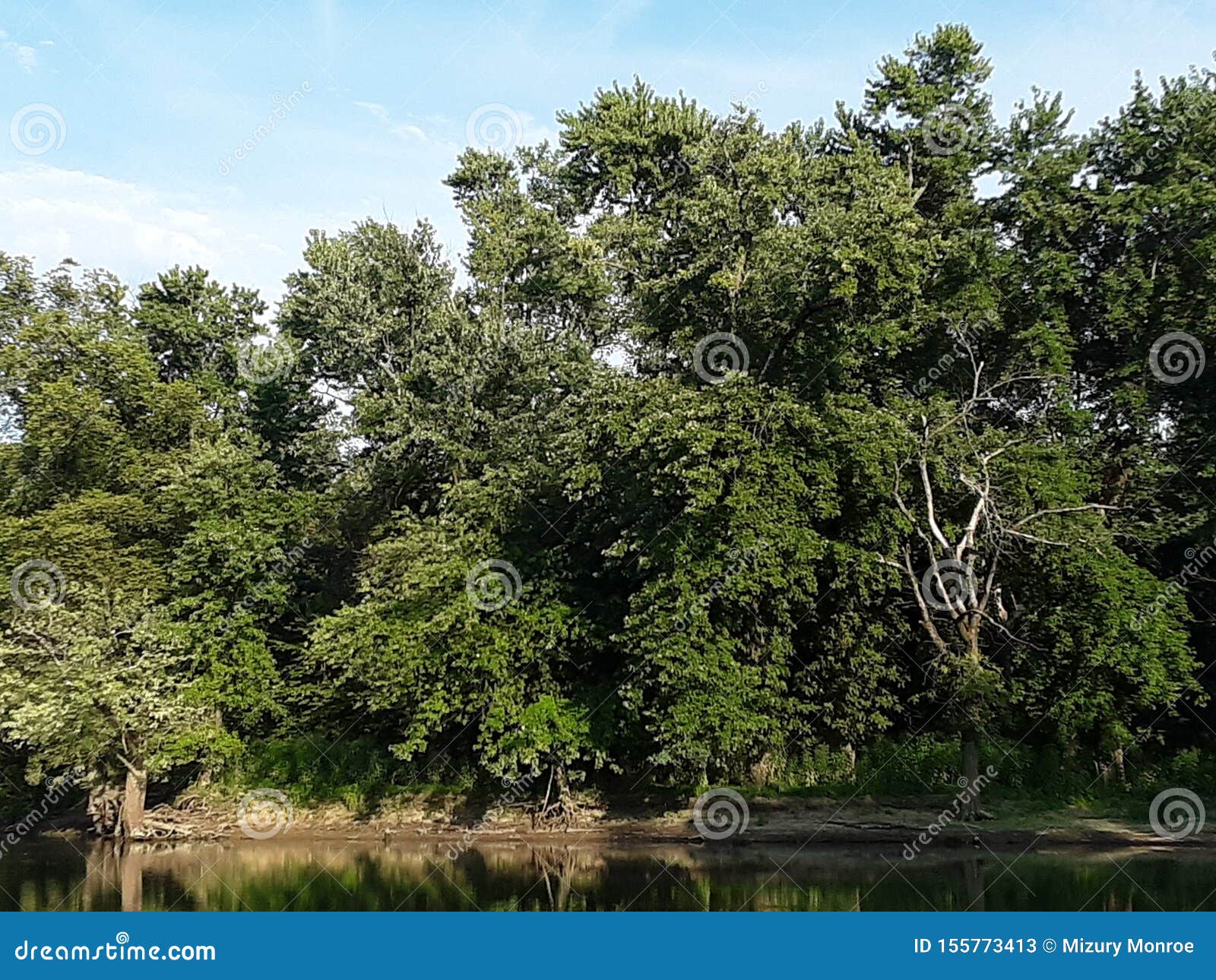At the River stock image. Image of shore, treeline, river - 155773413