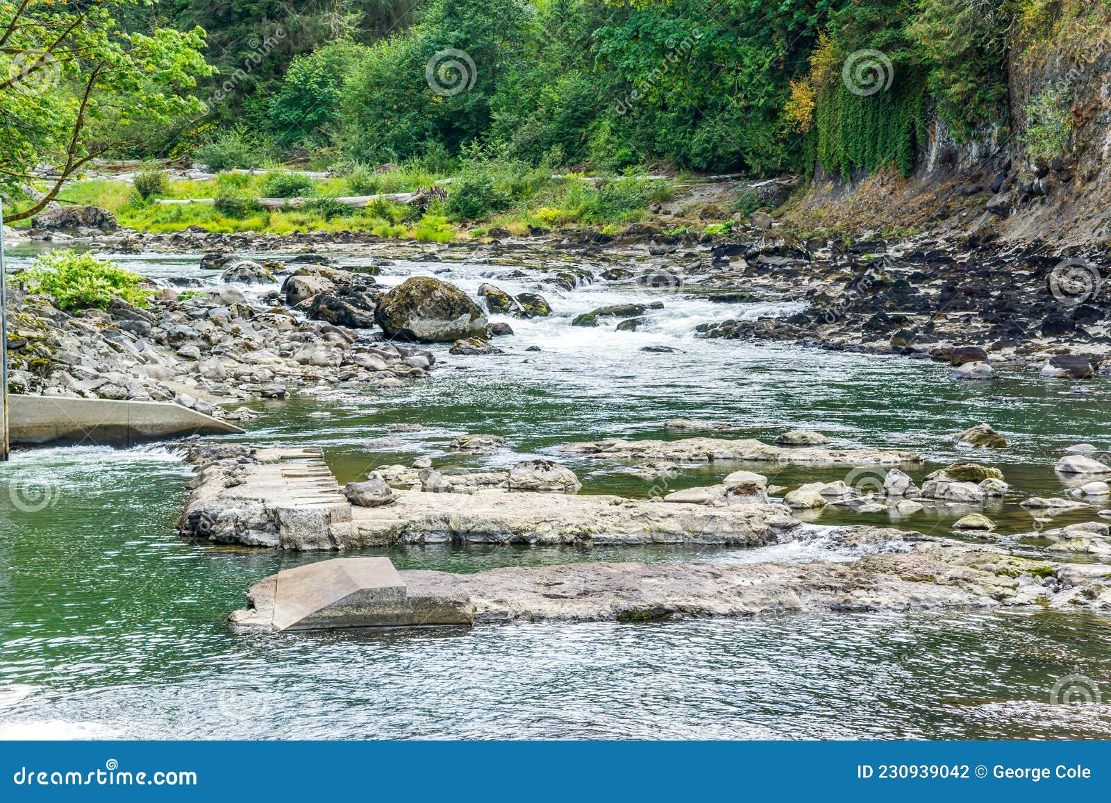 River and Shoreline Rocks 8 Stock Photo - Image of river, water: 230939042
