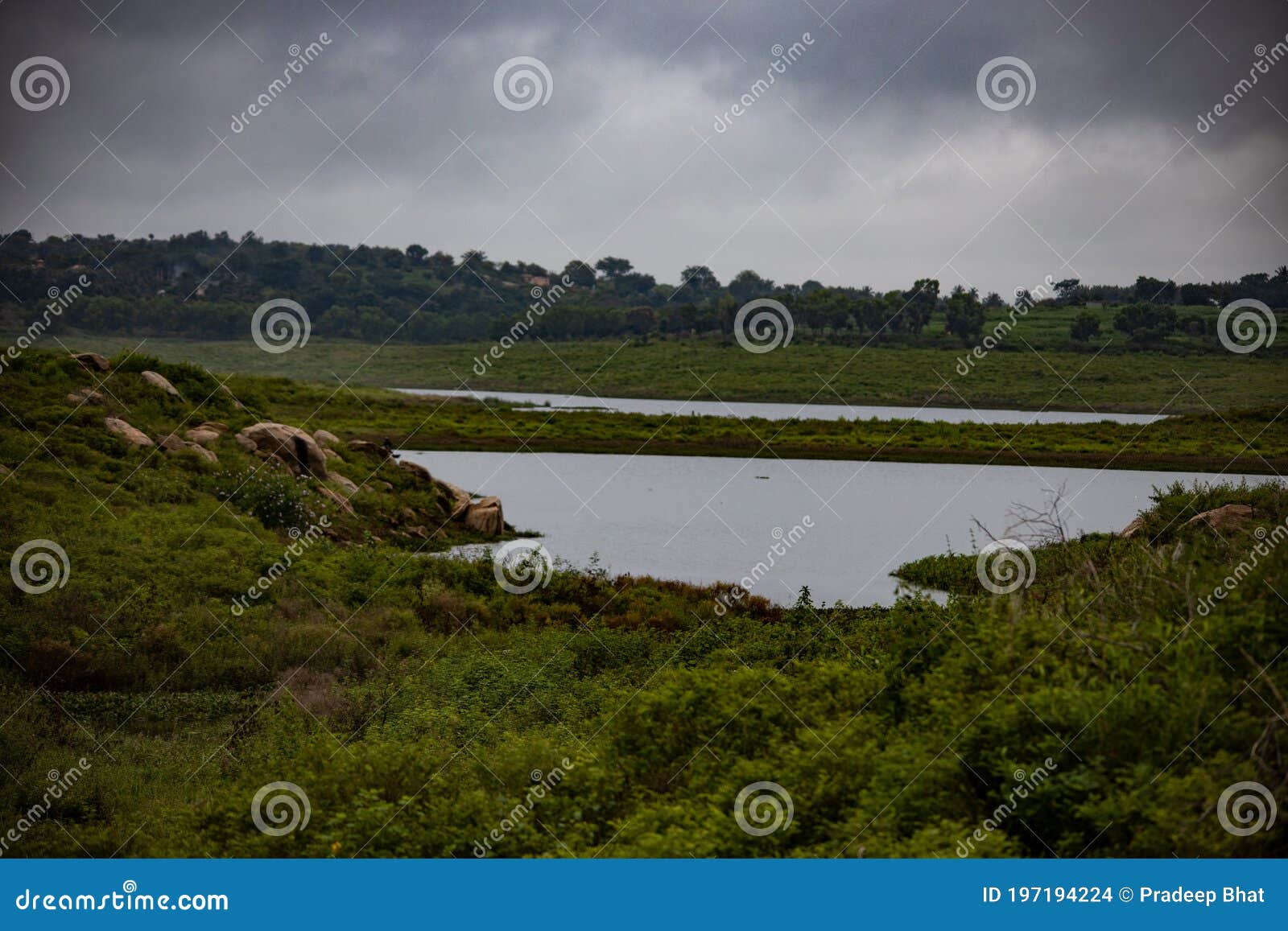 River side forest stock photo. Image of waterway, side - 197194224
