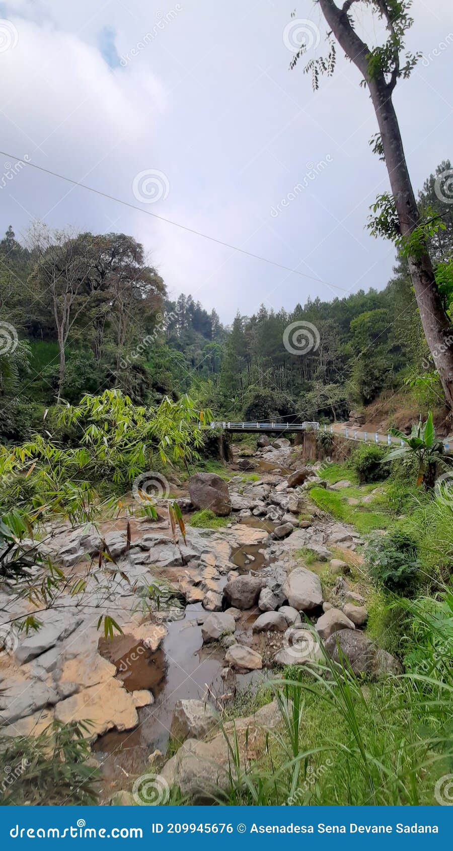 RIVER SIDE from HIGH CLIFT stock photo. Image of tree - 209945676
