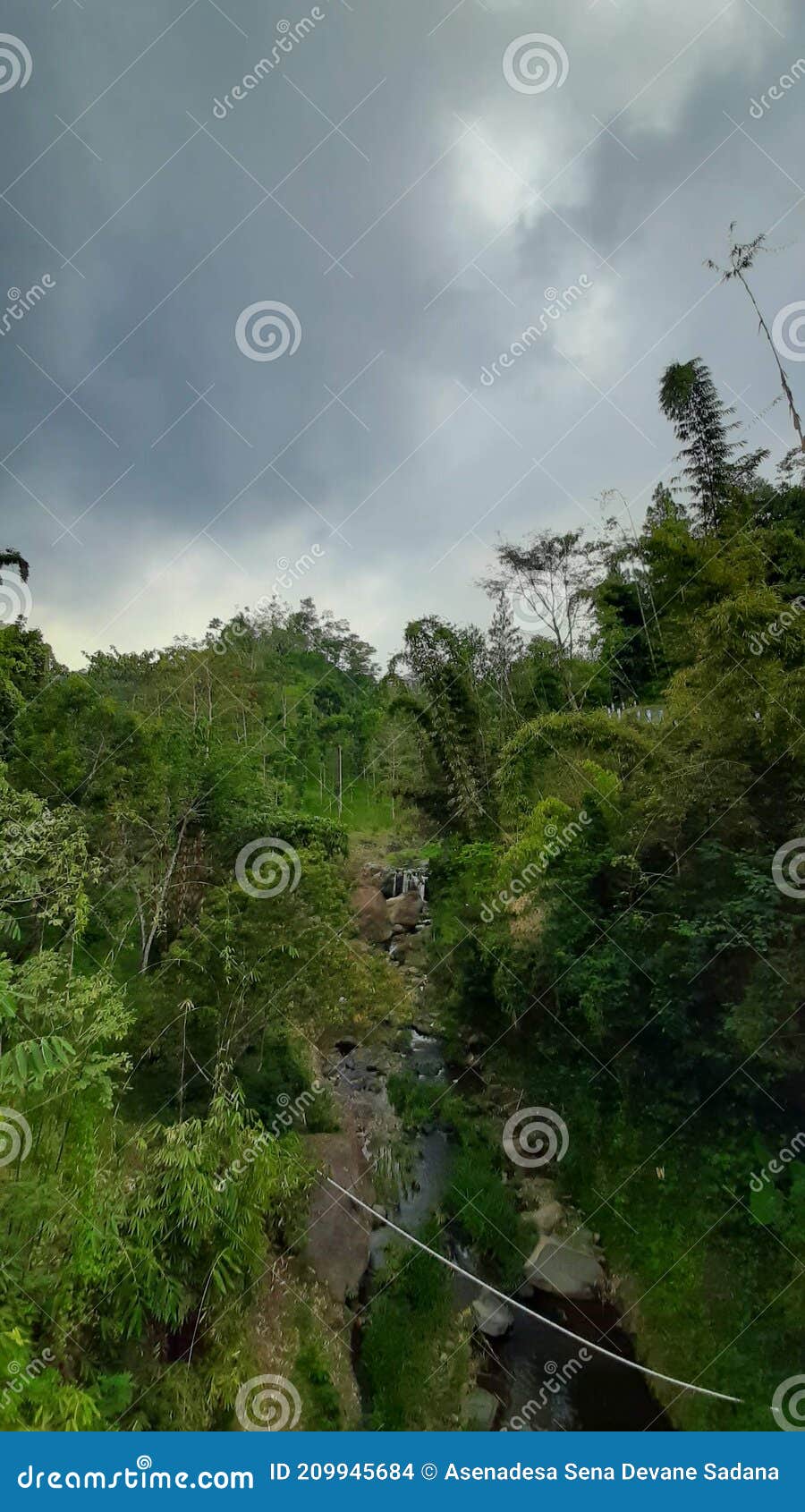 RIVER SIDE from HIGH CLIFT stock photo. Image of tree - 209945684