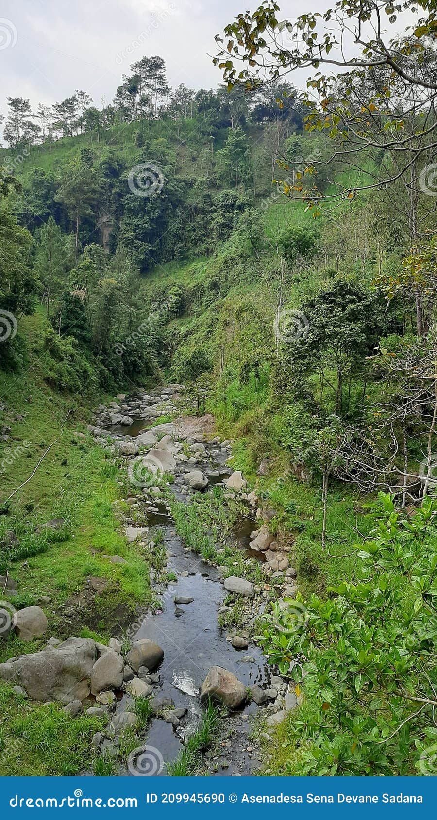 RIVER SIDE from HIGH CLIFT stock photo. Image of jungle - 209945690