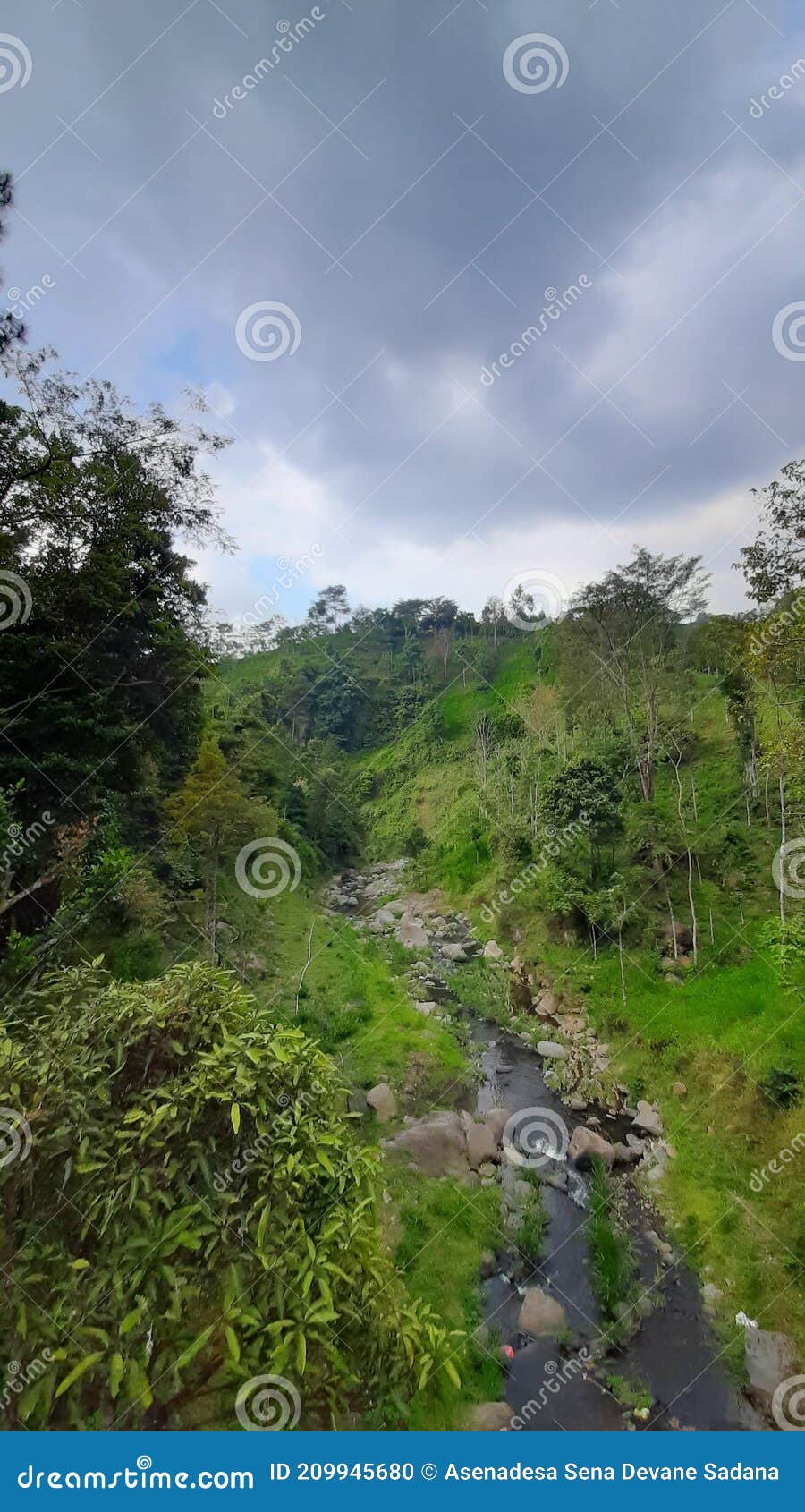 RIVER SIDE from HIGH CLIFT stock photo. Image of rock - 209945680