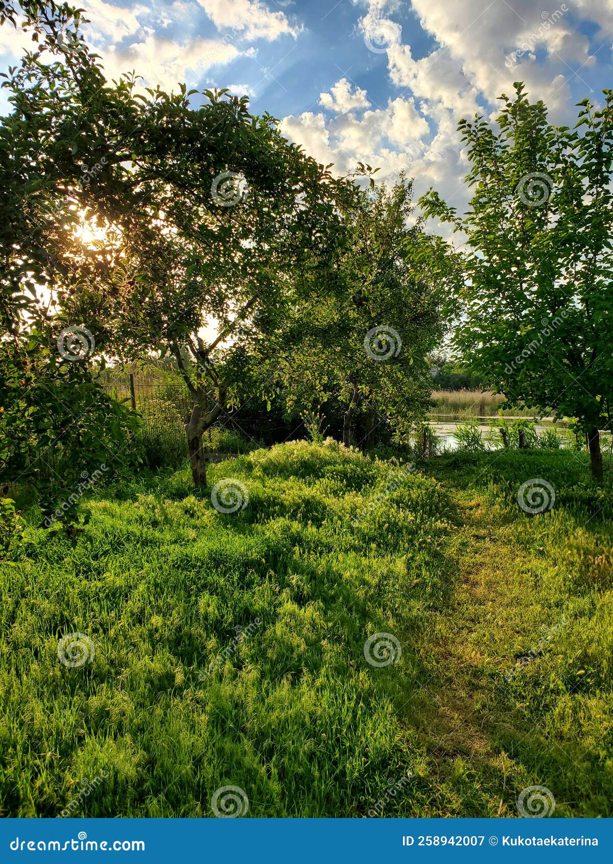 River Side Landscape with Green Grass Springtime Nature Stock Image ...