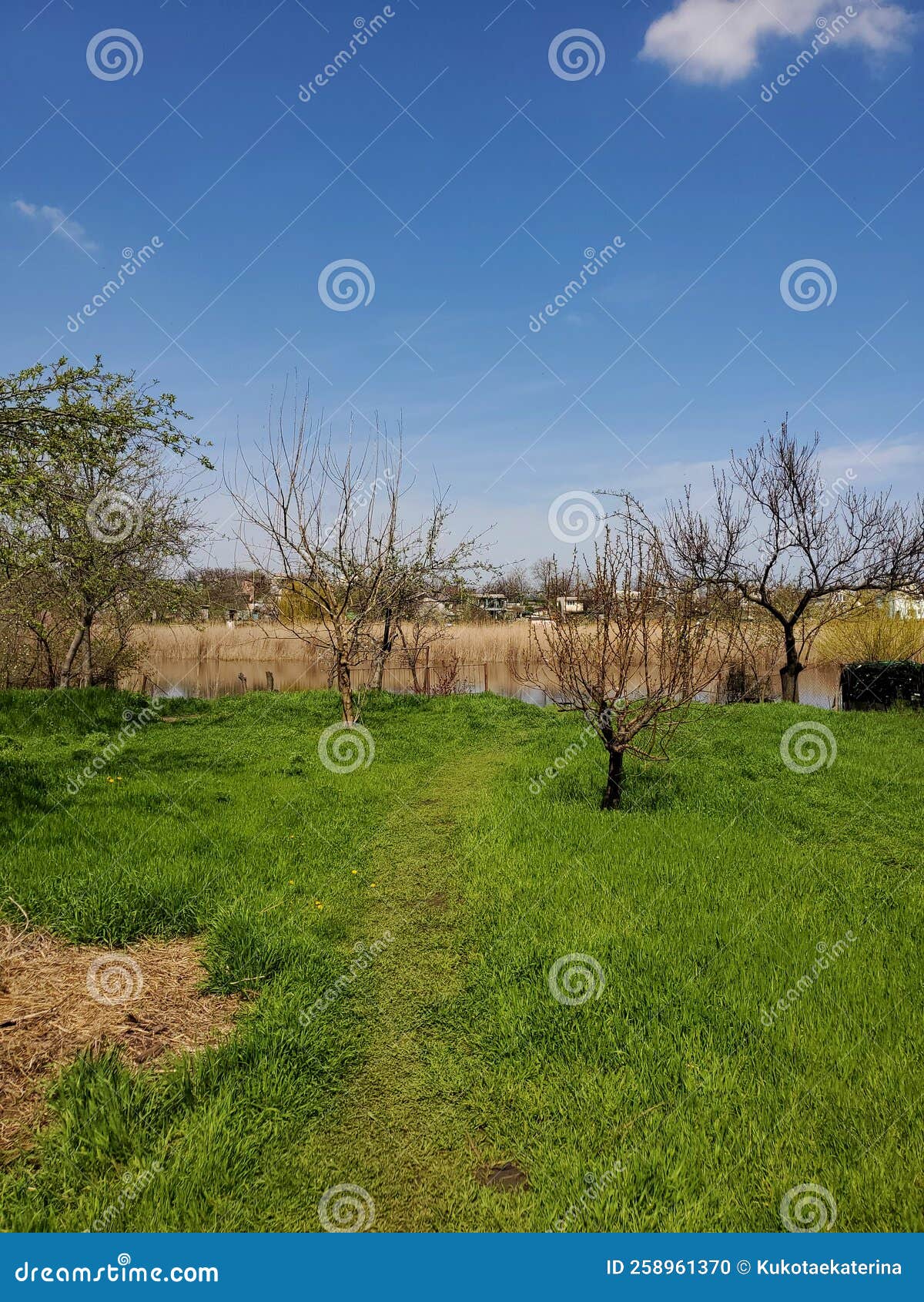 River Side Landscape with Green Grass Springtime Nature Stock Photo ...