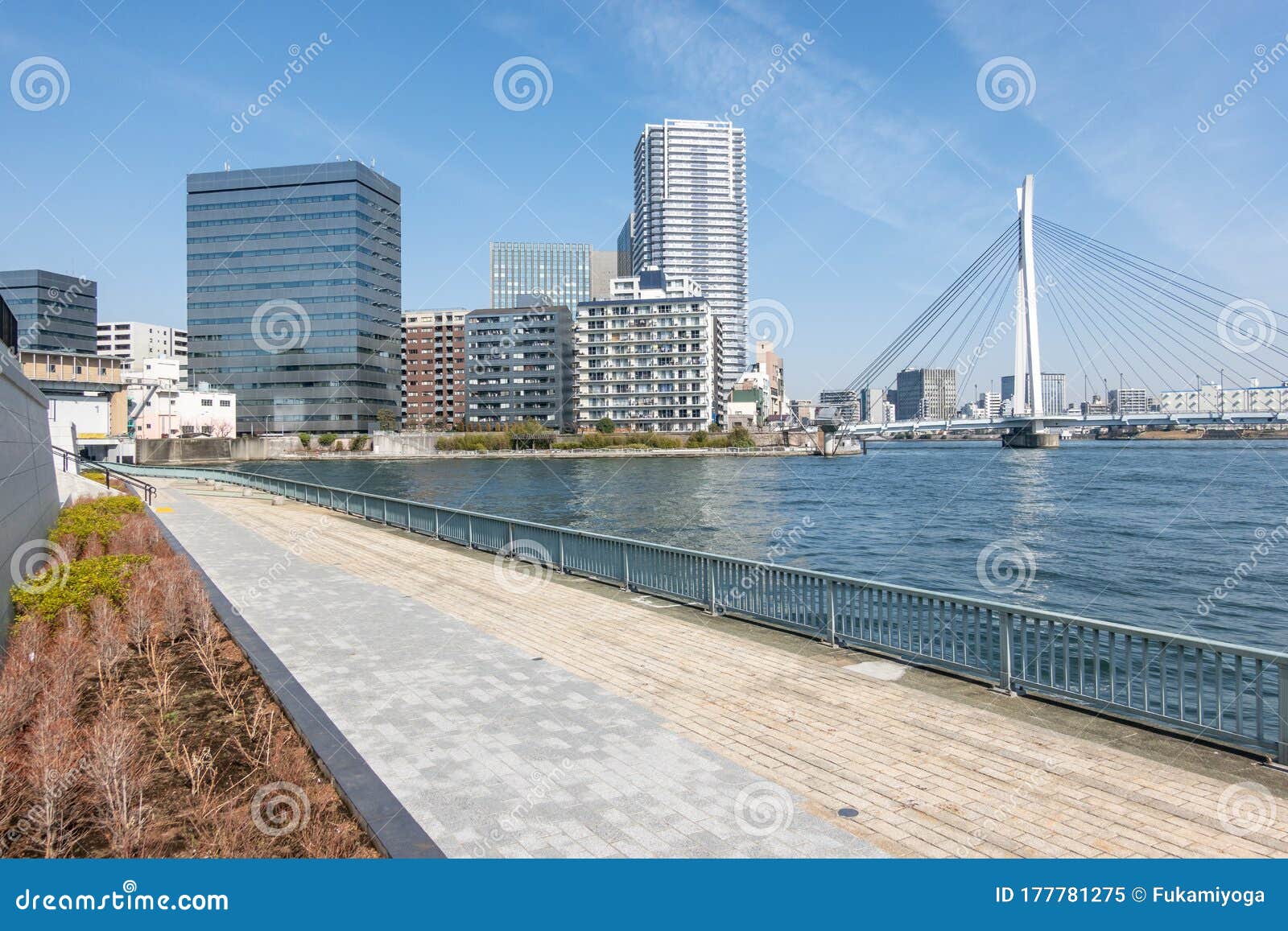River Side Promenade in Japan Editorial Image - Image of lifestyle ...