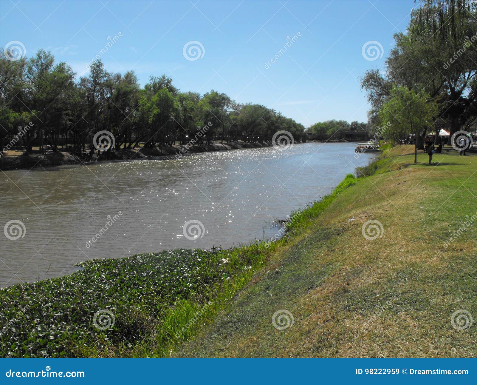River side stock image. Image of side, trees, sunny, verde - 98222959