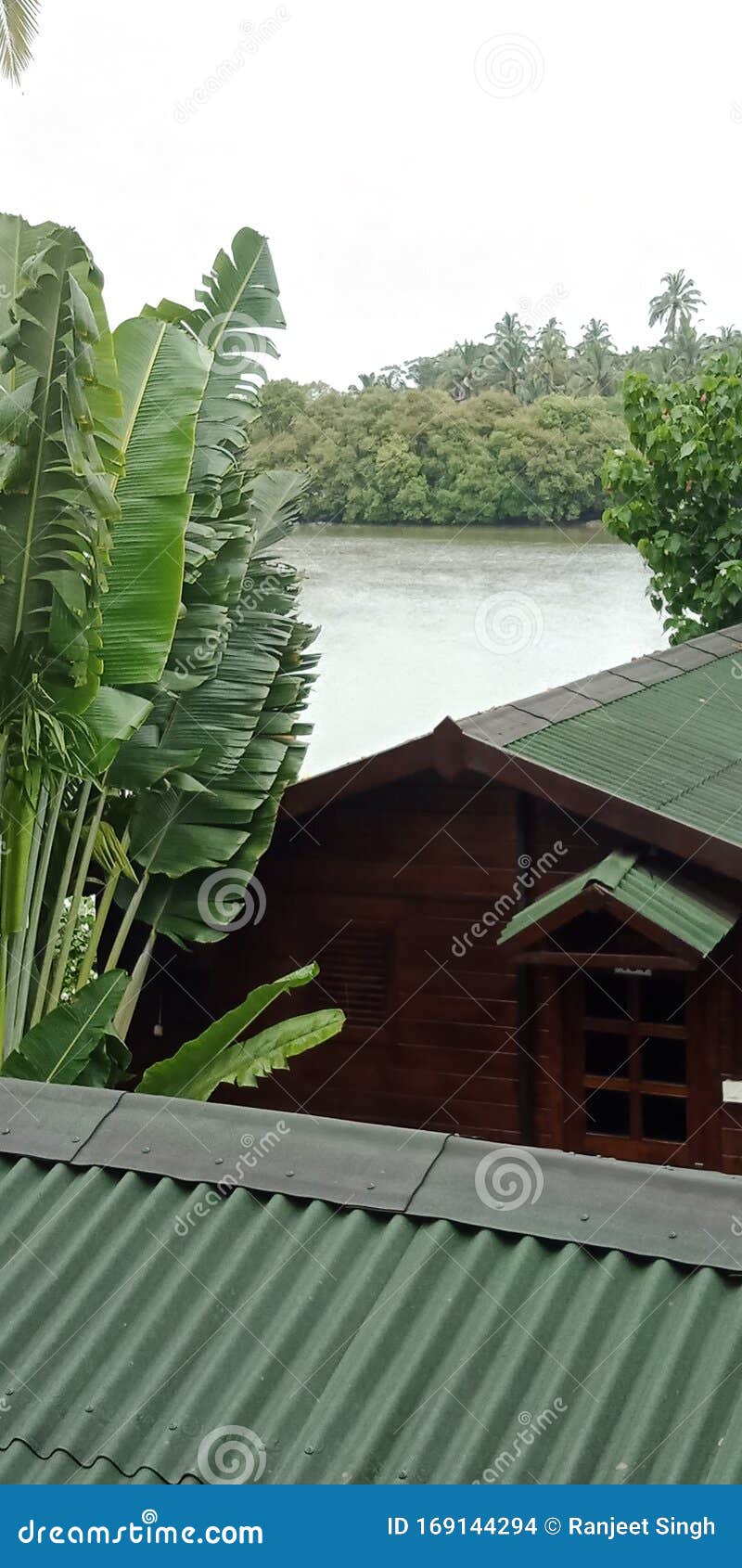 River side view hotel room stock photo. Image of view - 169144294