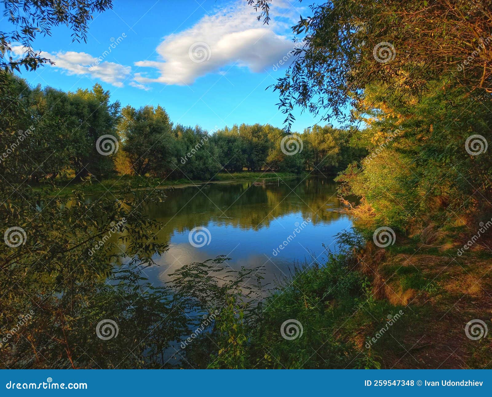 River side view stock photo. Image of wilderness, plant - 259547348