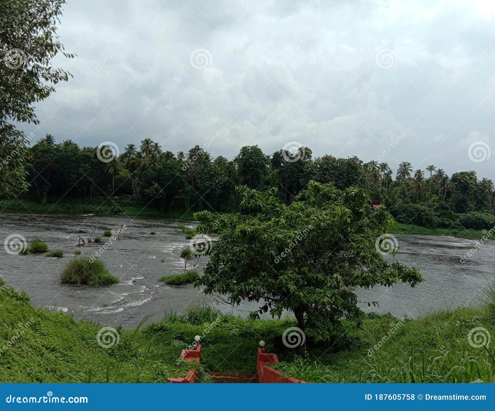 River Side View from Steps Going Down Stock Photo - Image of side, view ...