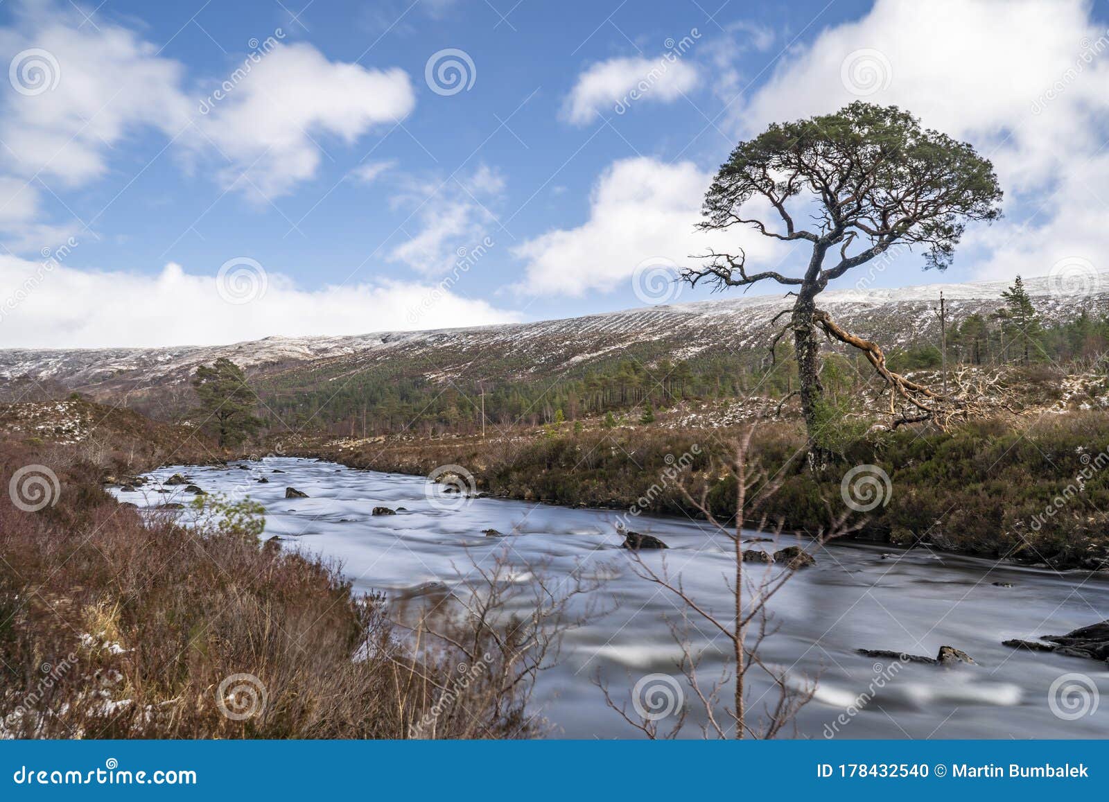 River with Single Tree in a Mountains Stock Photo - Image of park ...