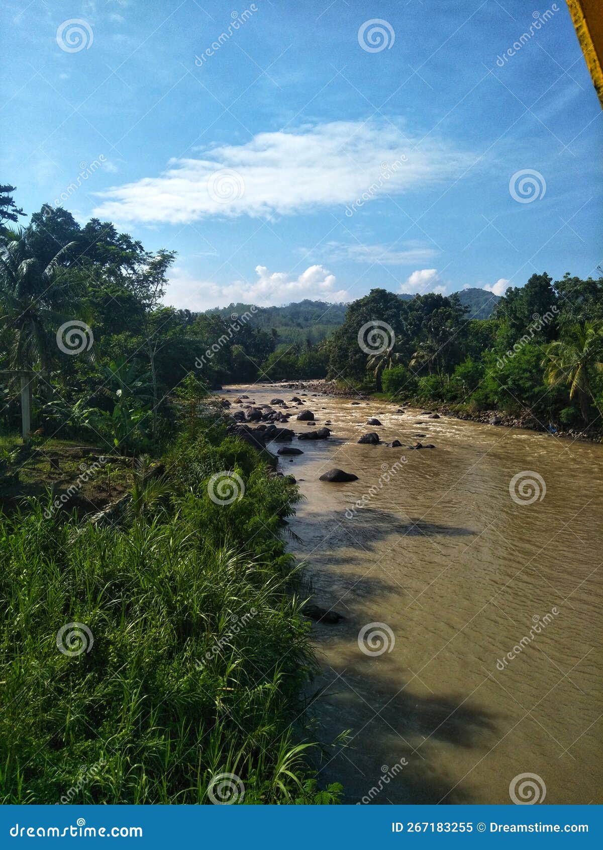River and sky and tree stock image. Image of fish, river - 267183255