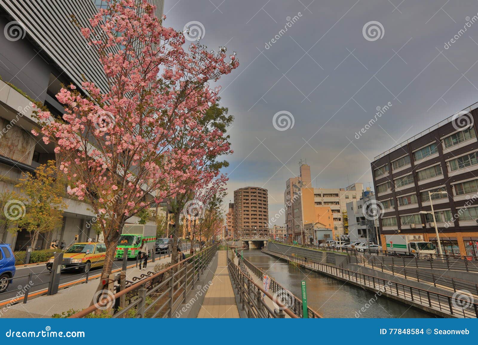 The River beside the Sky Tree Editorial Stock Image - Image of scenery ...