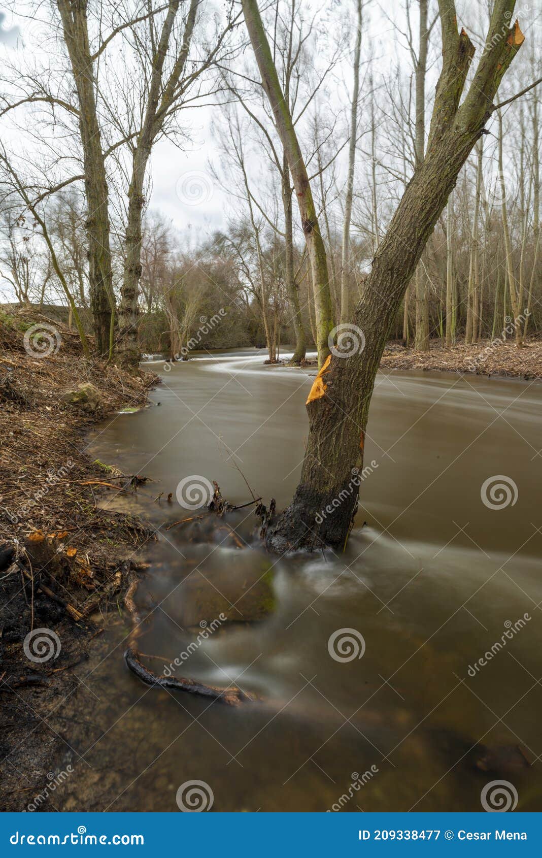River in Slow Exposure in Autumn Stock Image - Image of foothills ...