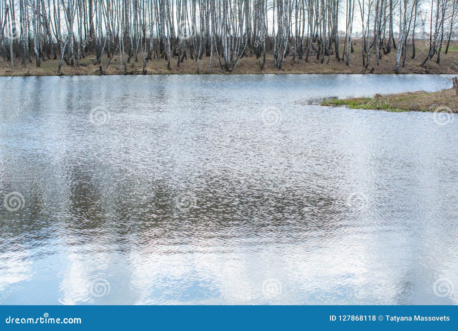 River with Slow Flow of Green Trees Stock Photo - Image of branch ...