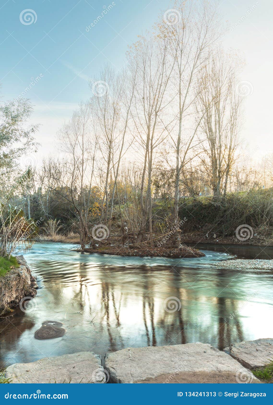 River with a Small Copse of Trees in the Middle, Vertical Landscape ...